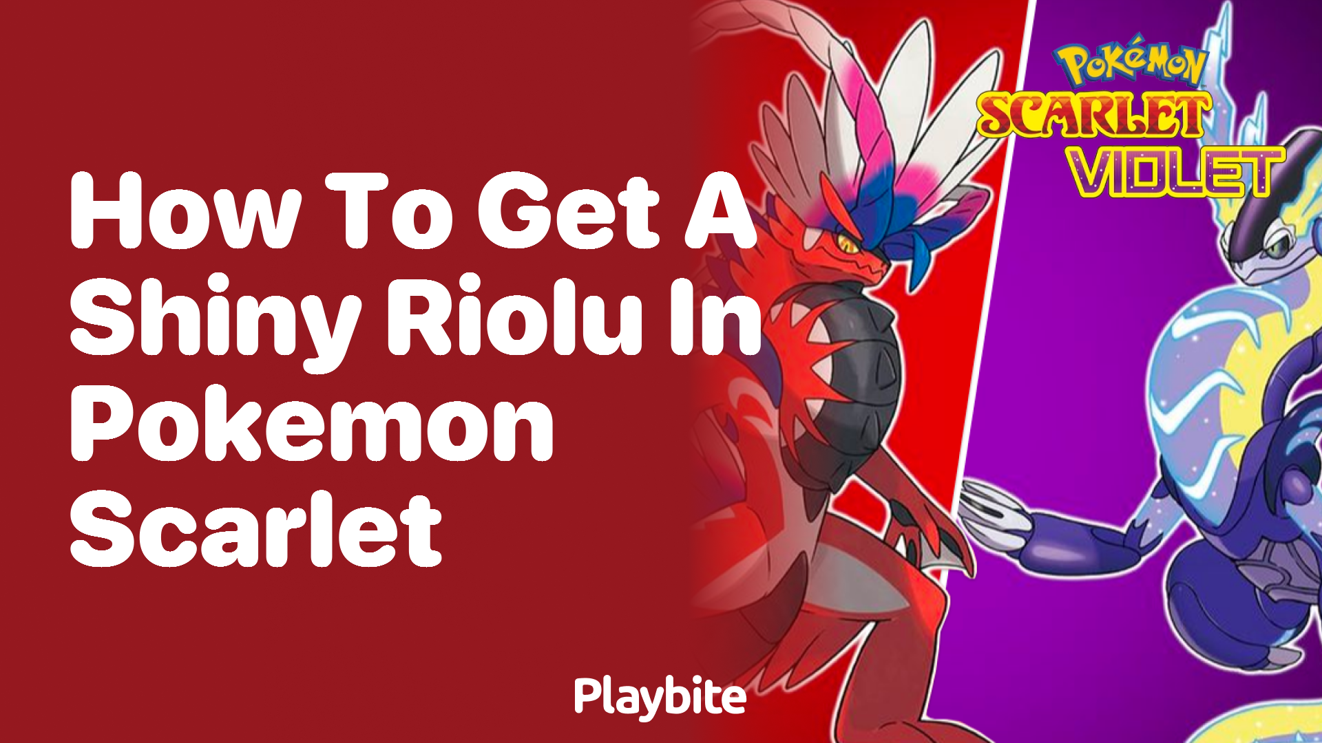How to get a shiny Riolu in Pokemon Scarlet - Playbite