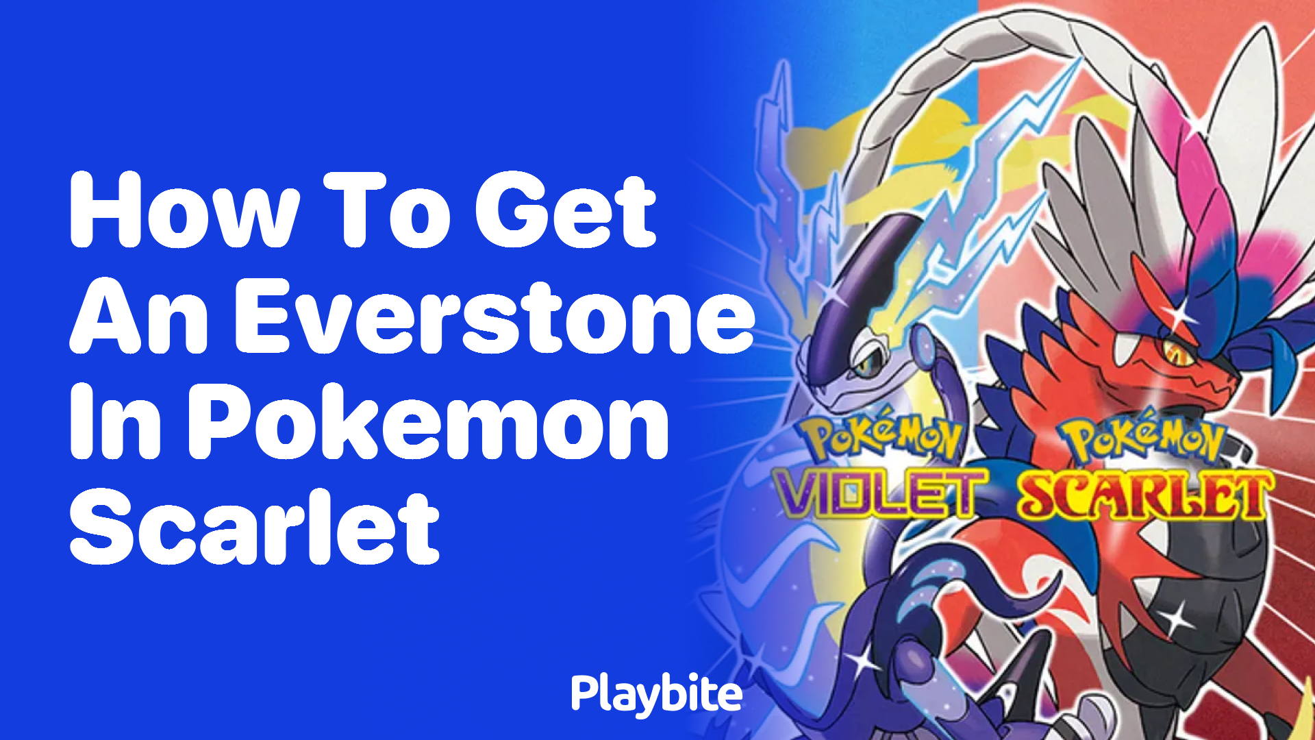 How to get an Everstone in Pokemon Scarlet - Playbite