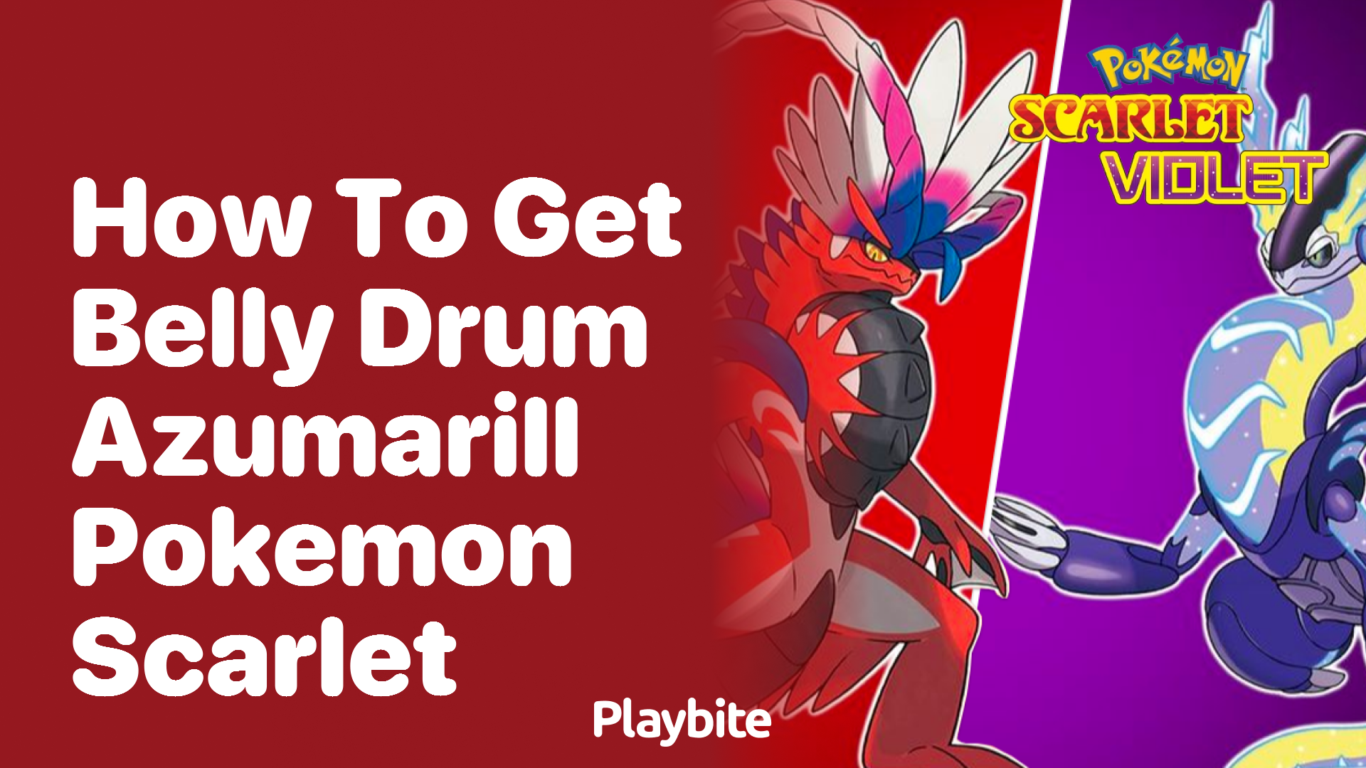 How to get Belly Drum Azumarill in Pokemon Scarlet - Playbite