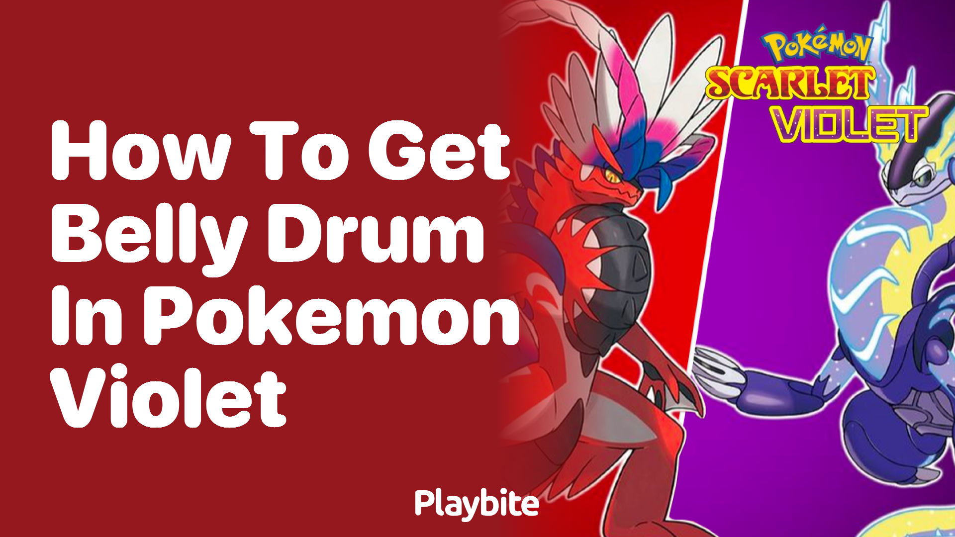 How to get Belly Drum in Pokemon Violet - Playbite