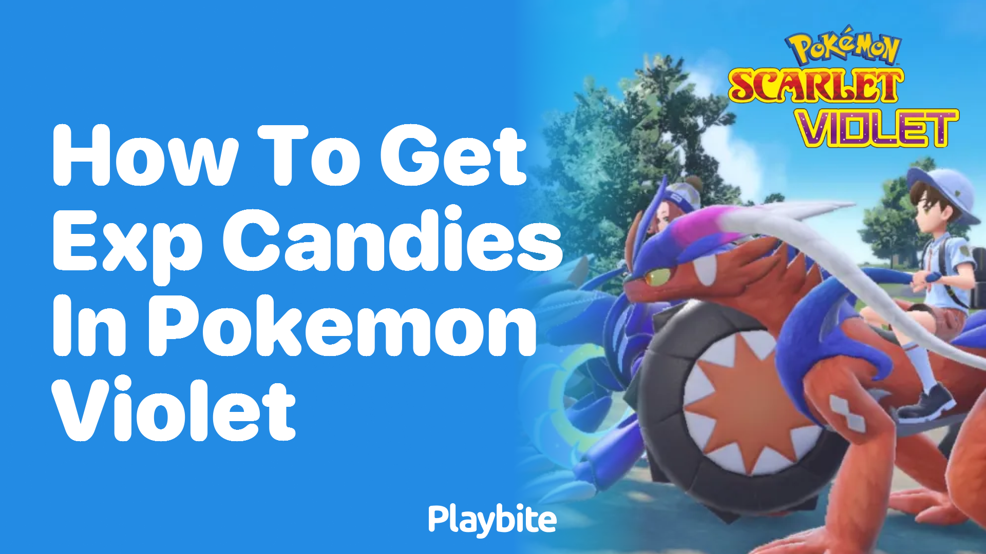 How to get EXP candies in Pokemon Violet - Playbite