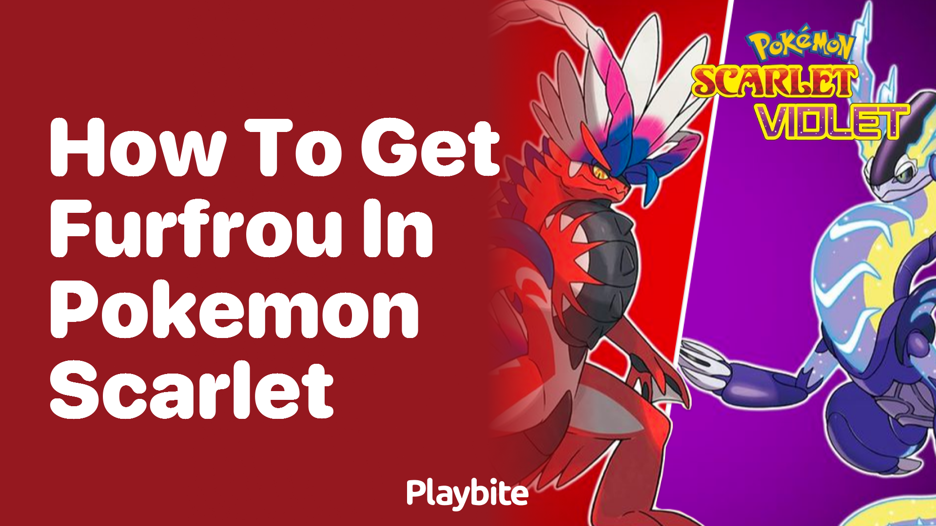How to get Furfrou in Pokemon Scarlet - Playbite