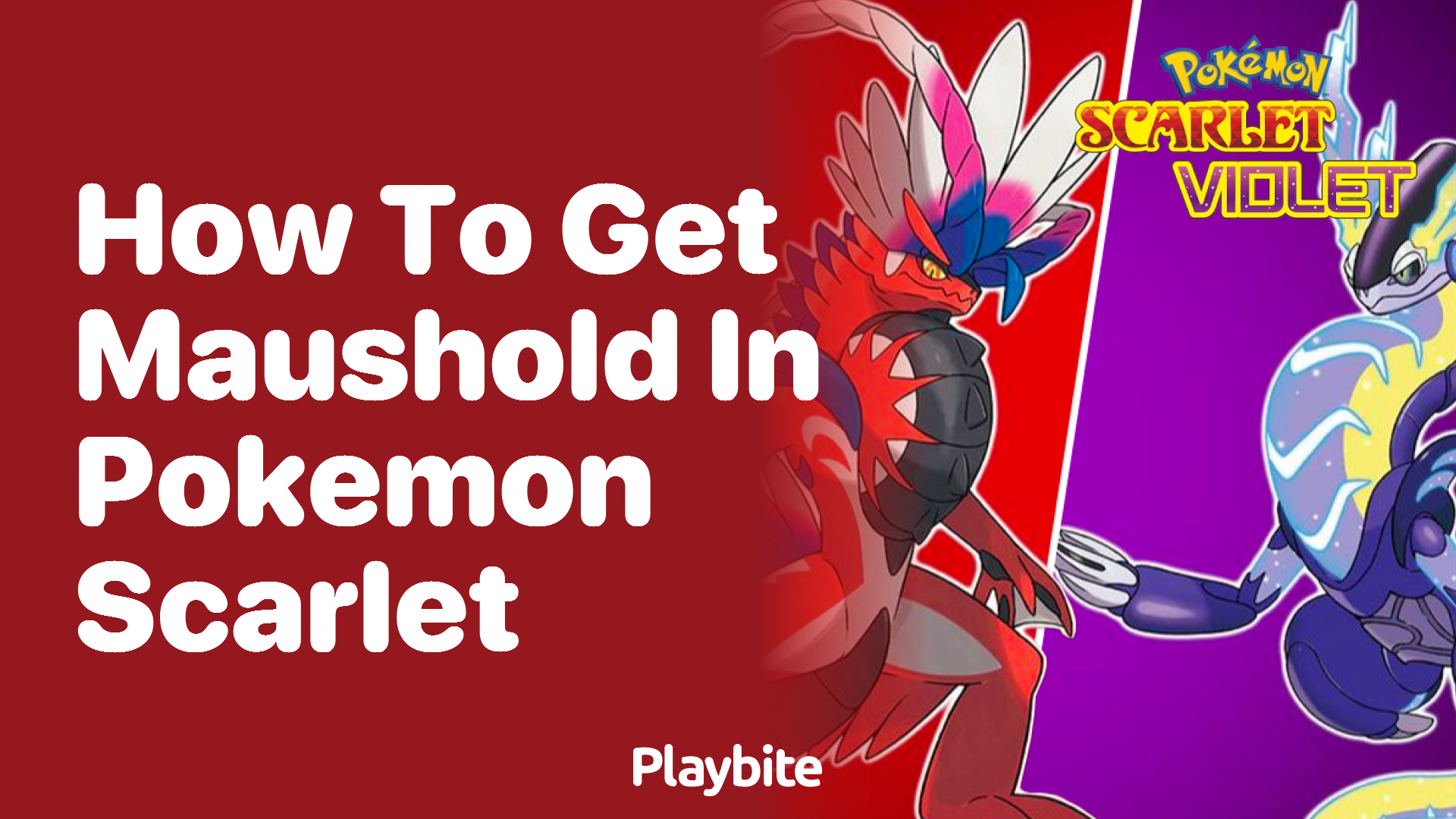How to get Maushold in Pokemon Scarlet - Playbite