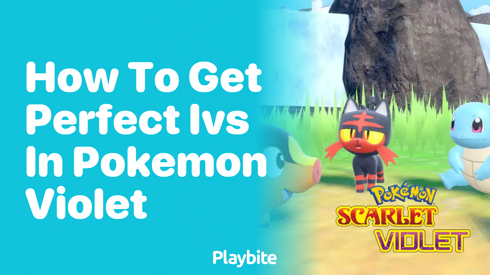 How to get perfect IVs in Pokemon Violet - Playbite