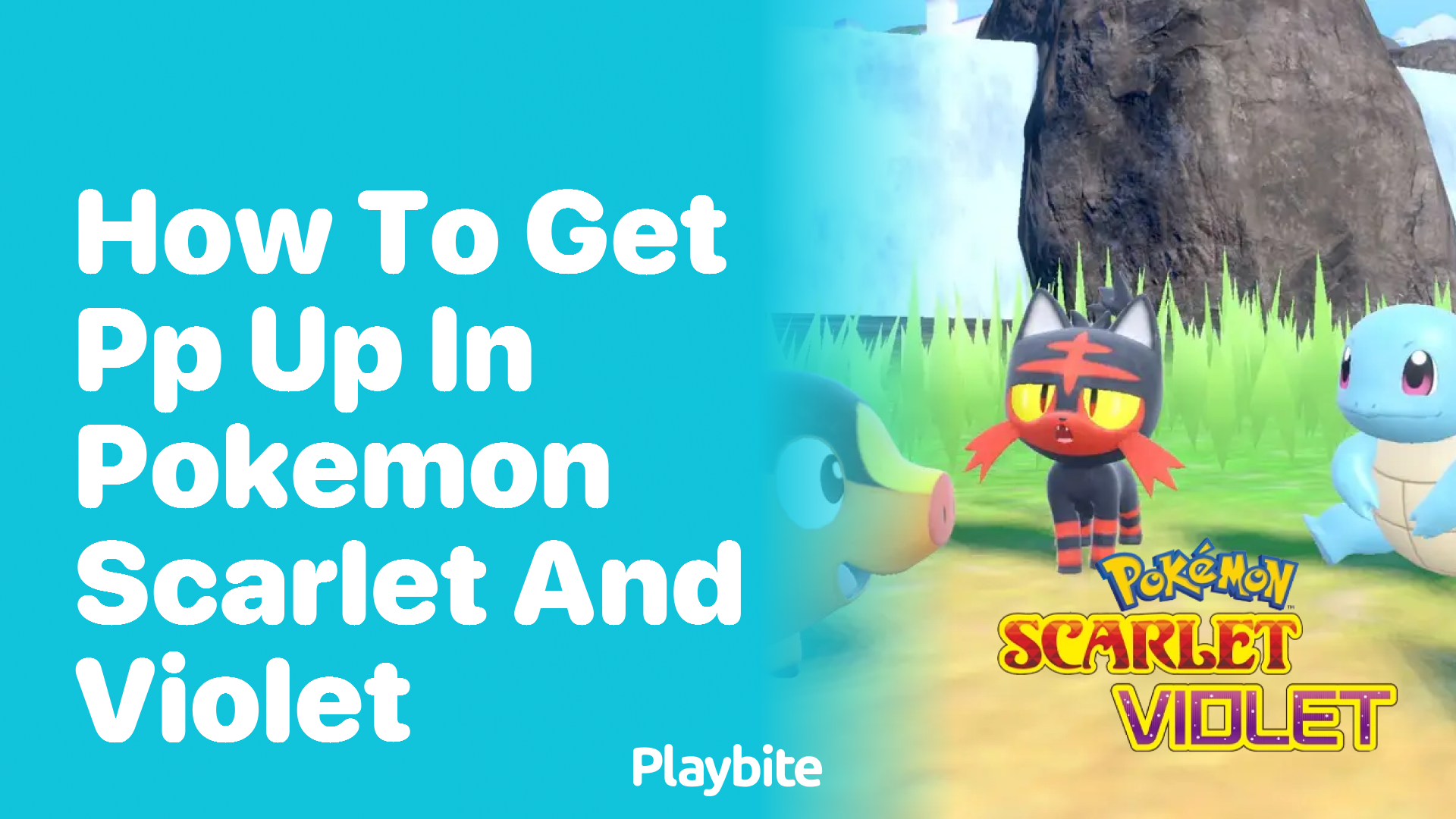 How to get PP Up in Pokemon Scarlet and Violet - Playbite