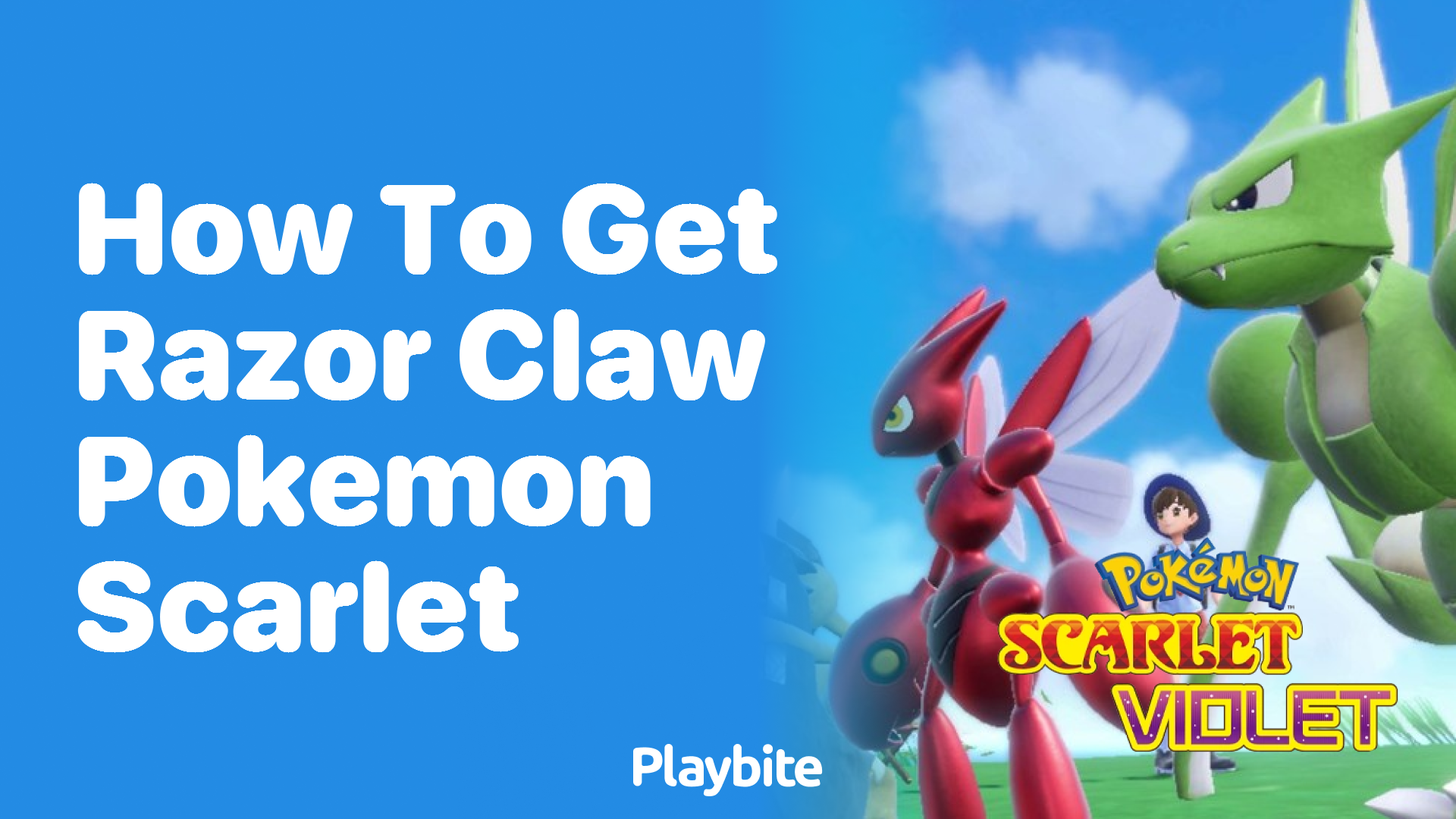 How to get the Razor Claw in Pokemon Scarlet - Playbite
