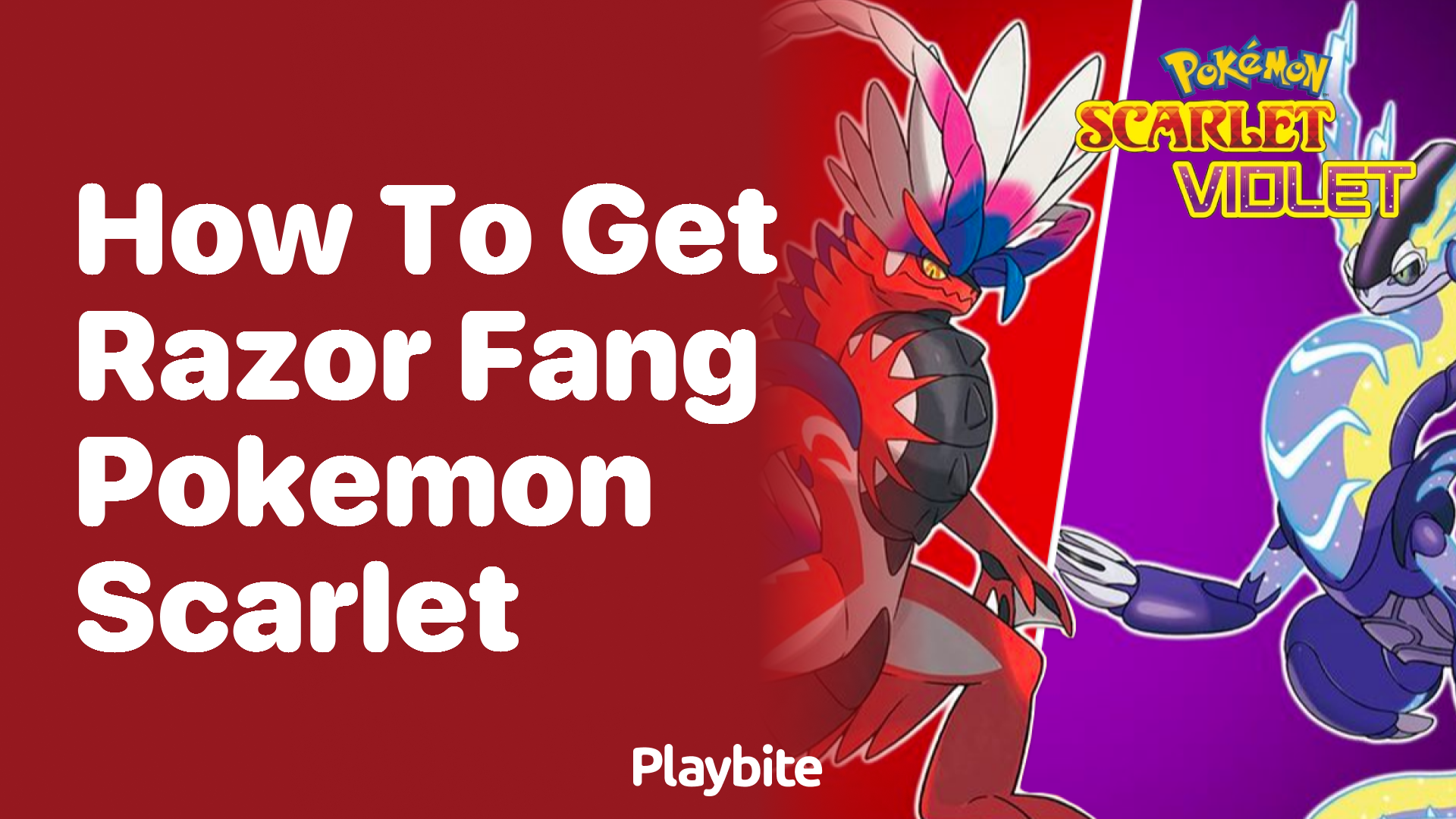 How to Get Razor Fang in Pokemon Scarlet - Playbite