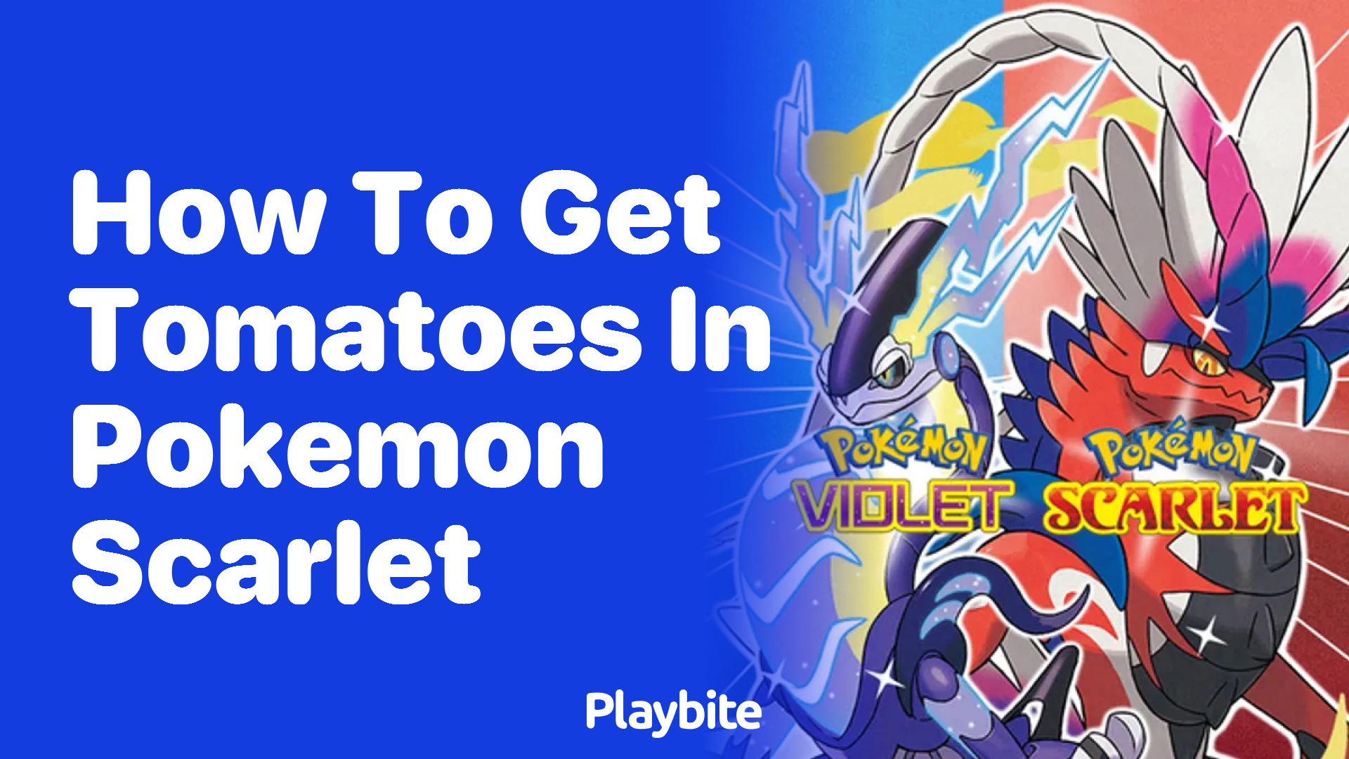 How to Get Tomatoes in Pokemon Scarlet - Playbite
