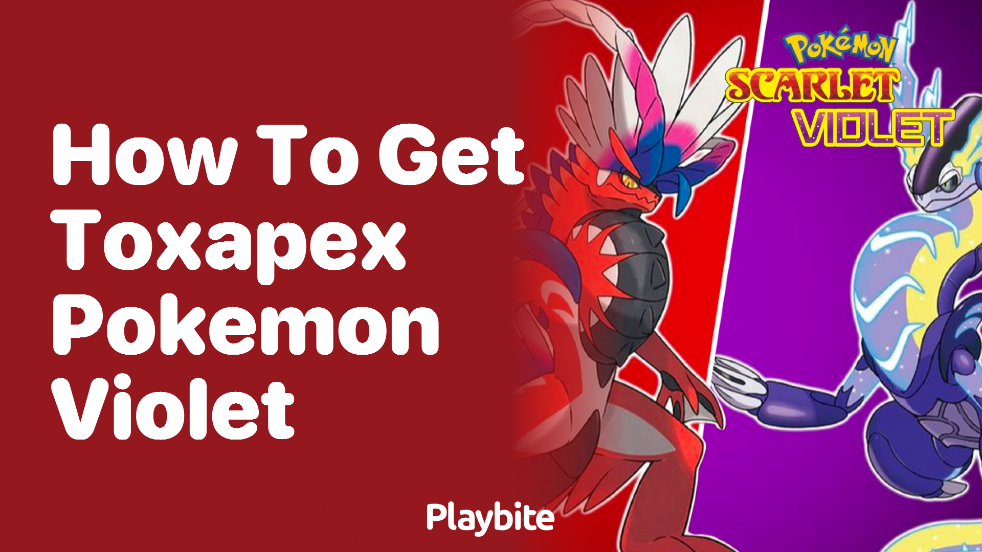 How to get Toxapex in Pokemon Violet - Playbite