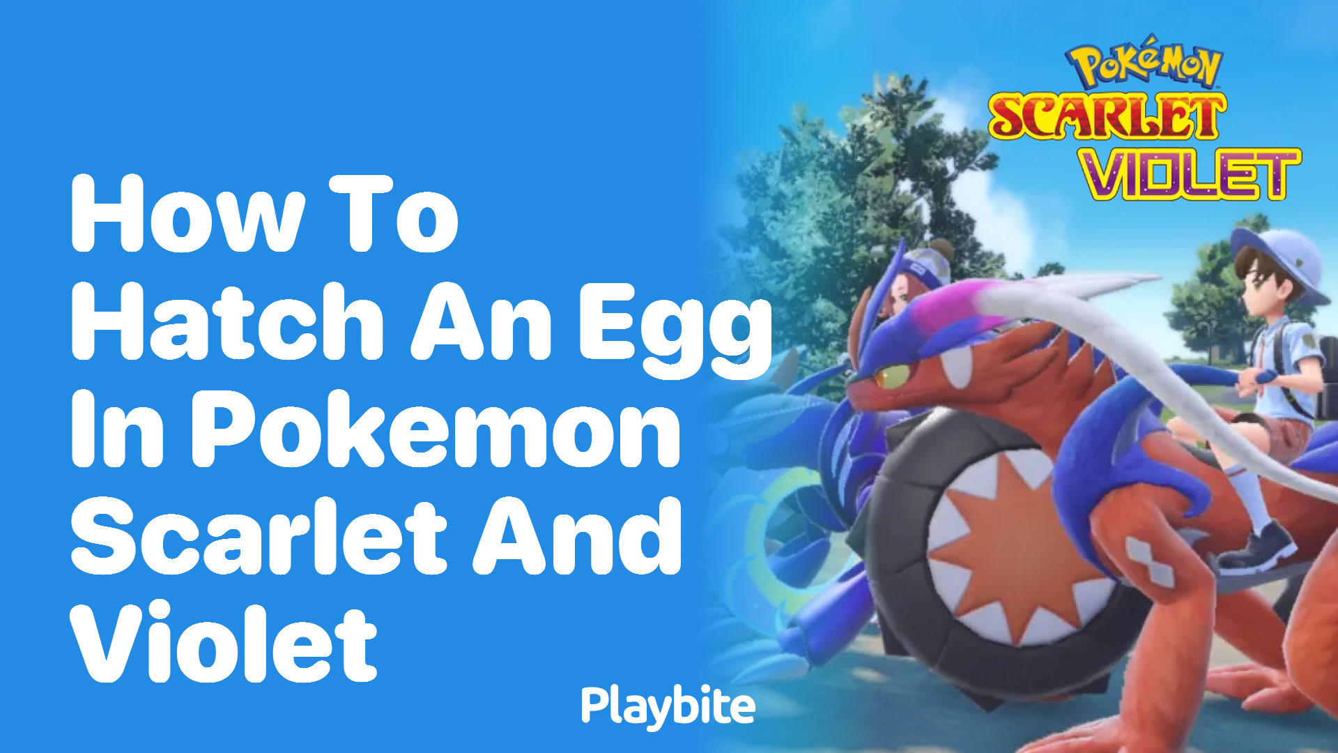 How to Hatch an Egg in Pokemon Scarlet and Violet - Playbite
