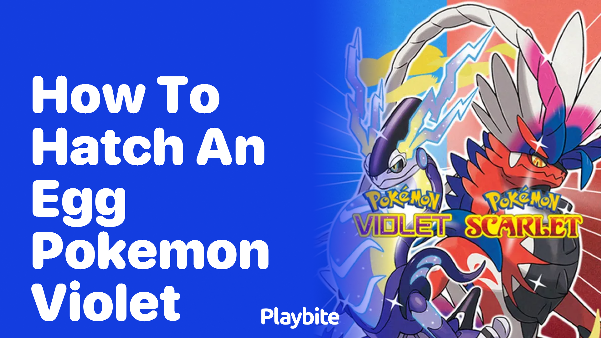 How to hatch an egg in Pokemon Violet - Playbite