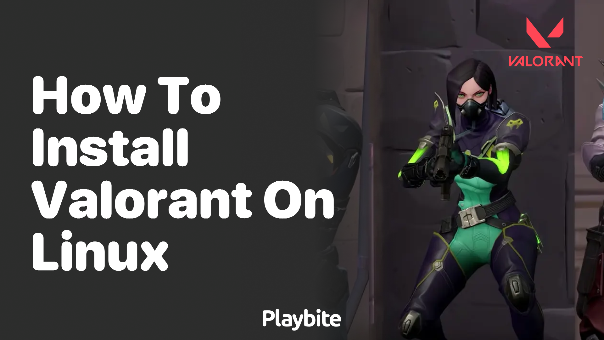 How To Install Valorant On Linux Playbite