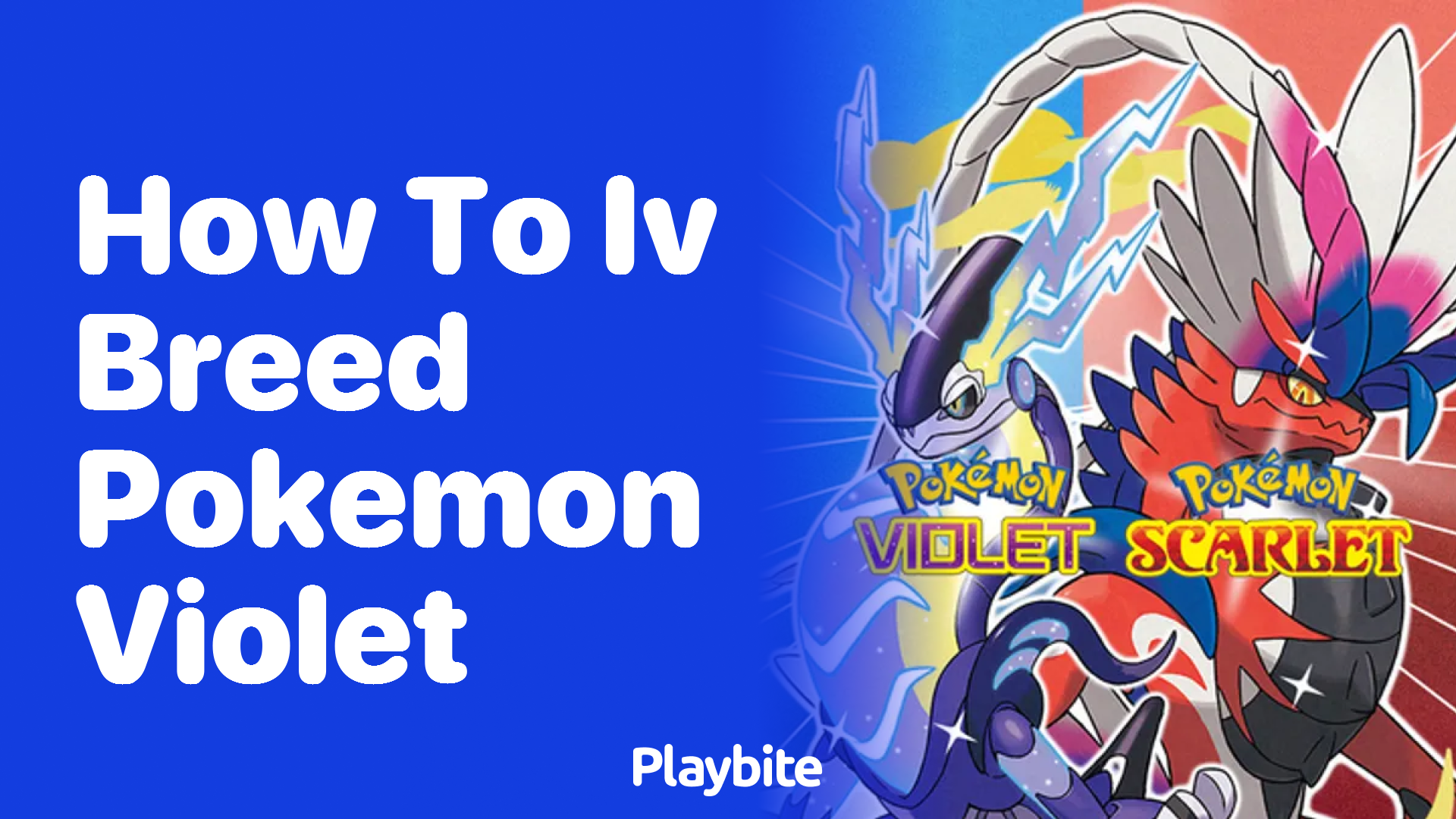 How to IV Breed in Pokemon Violet - Playbite