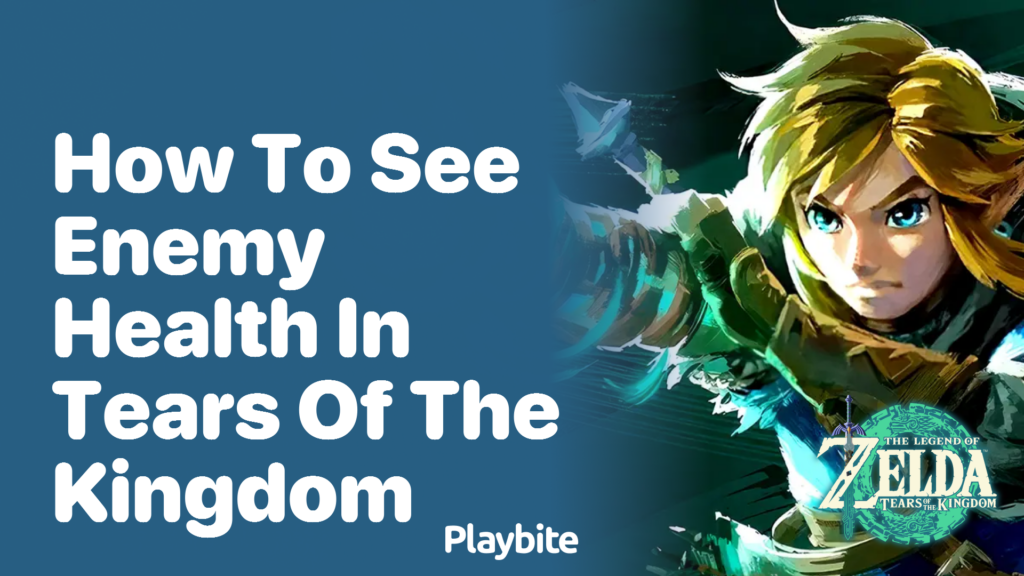 How to See Enemy Health in Tears of the Kingdom - Playbite