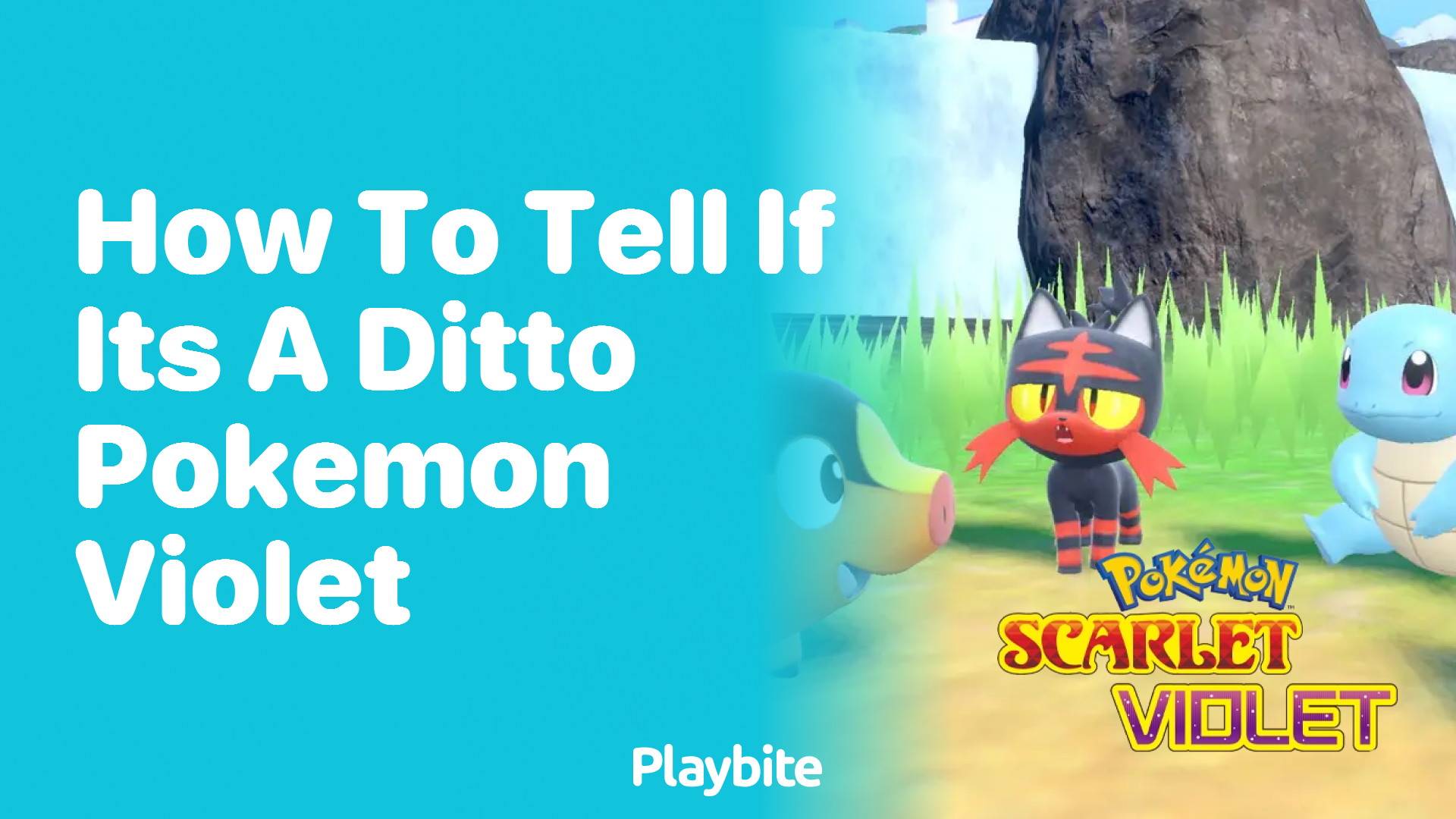 How to tell if it's a Ditto in Pokémon Violet - Playbite