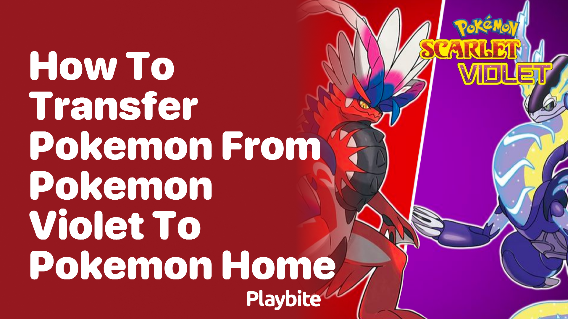 How to transfer Pokémon from Pokémon Violet to Pokémon Home - Playbite