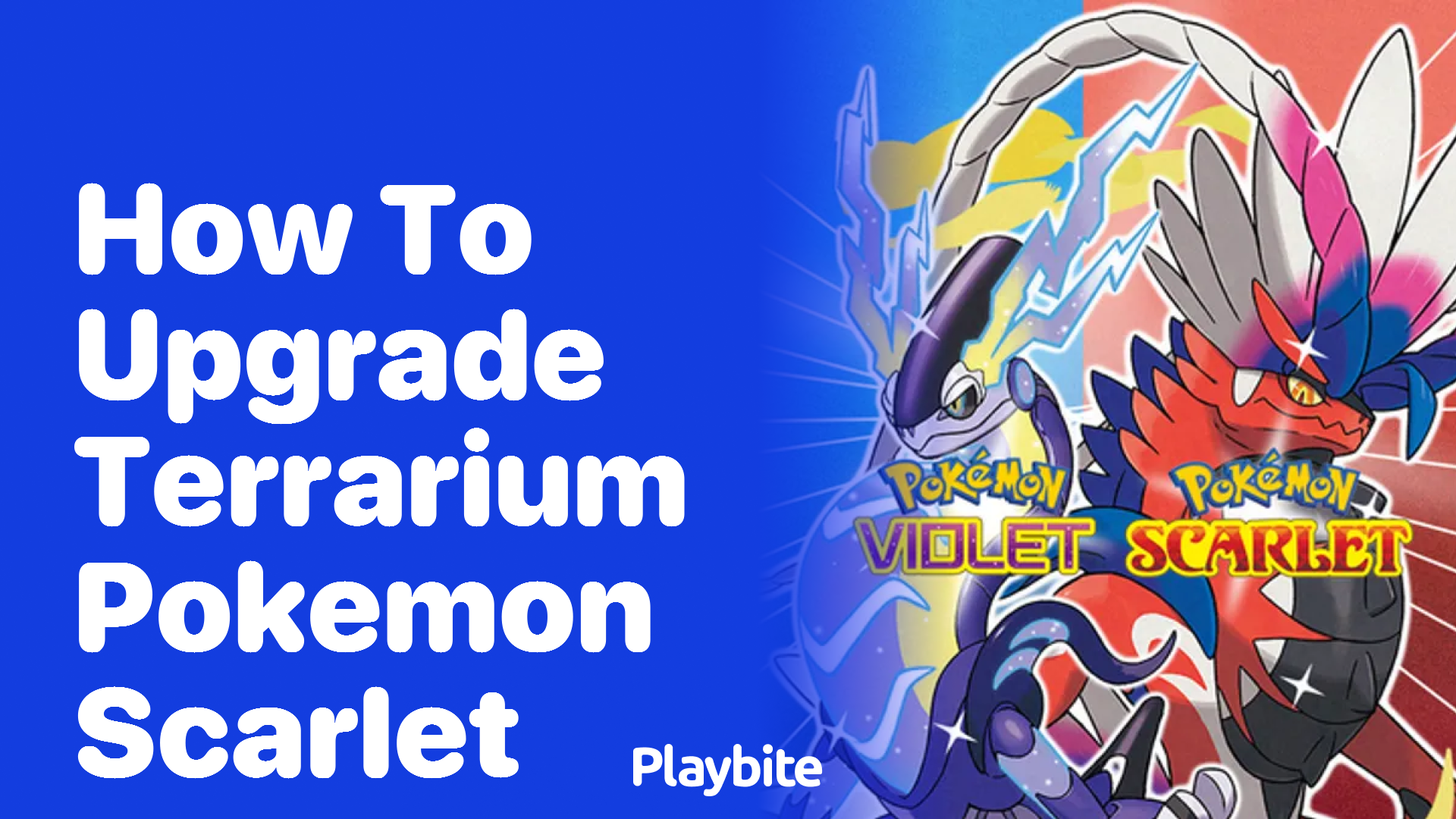How to Upgrade the Terrarium in Pokémon Scarlet - Playbite