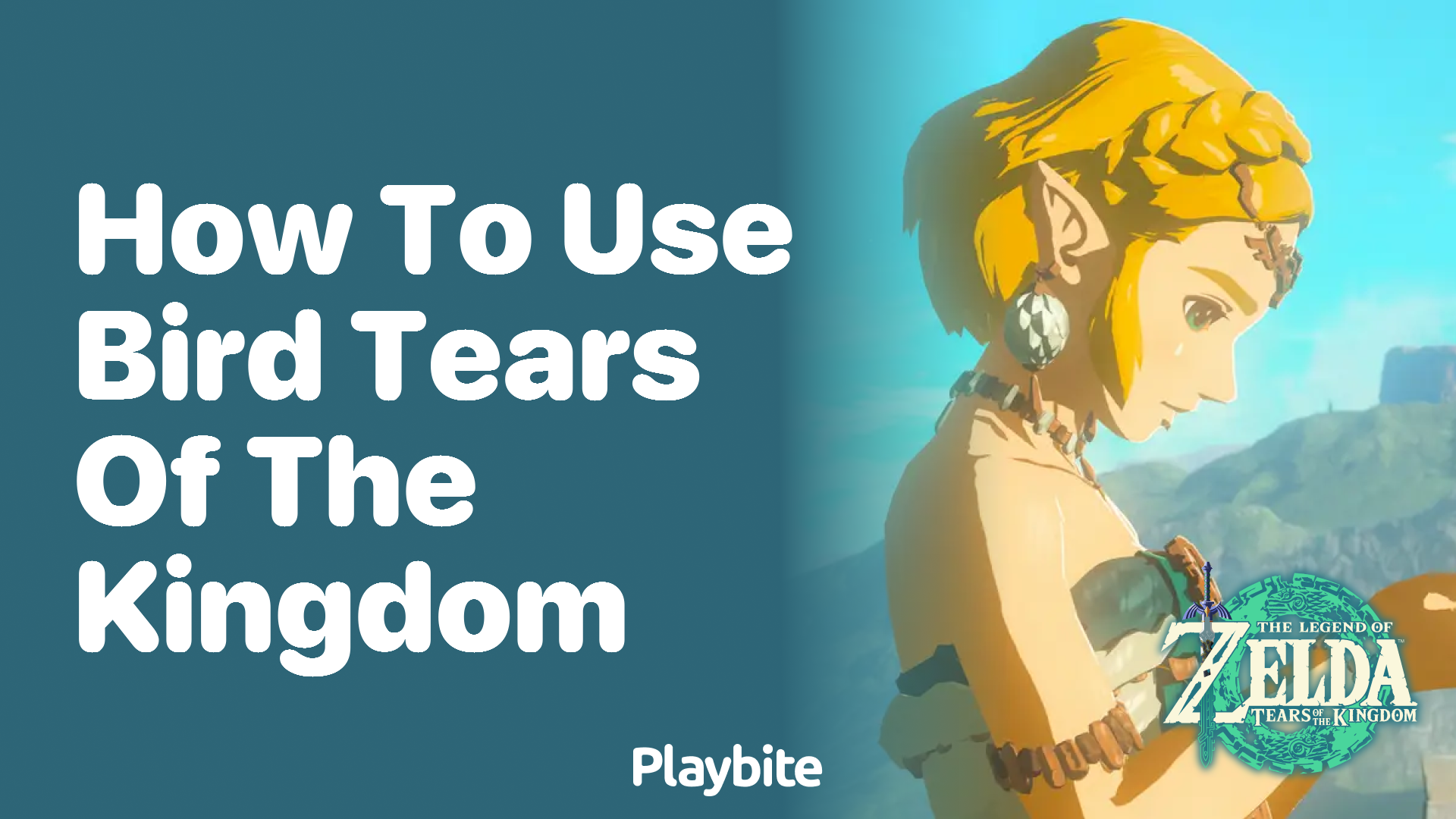 How to Use the Bird in Tears of The Kingdom - Playbite