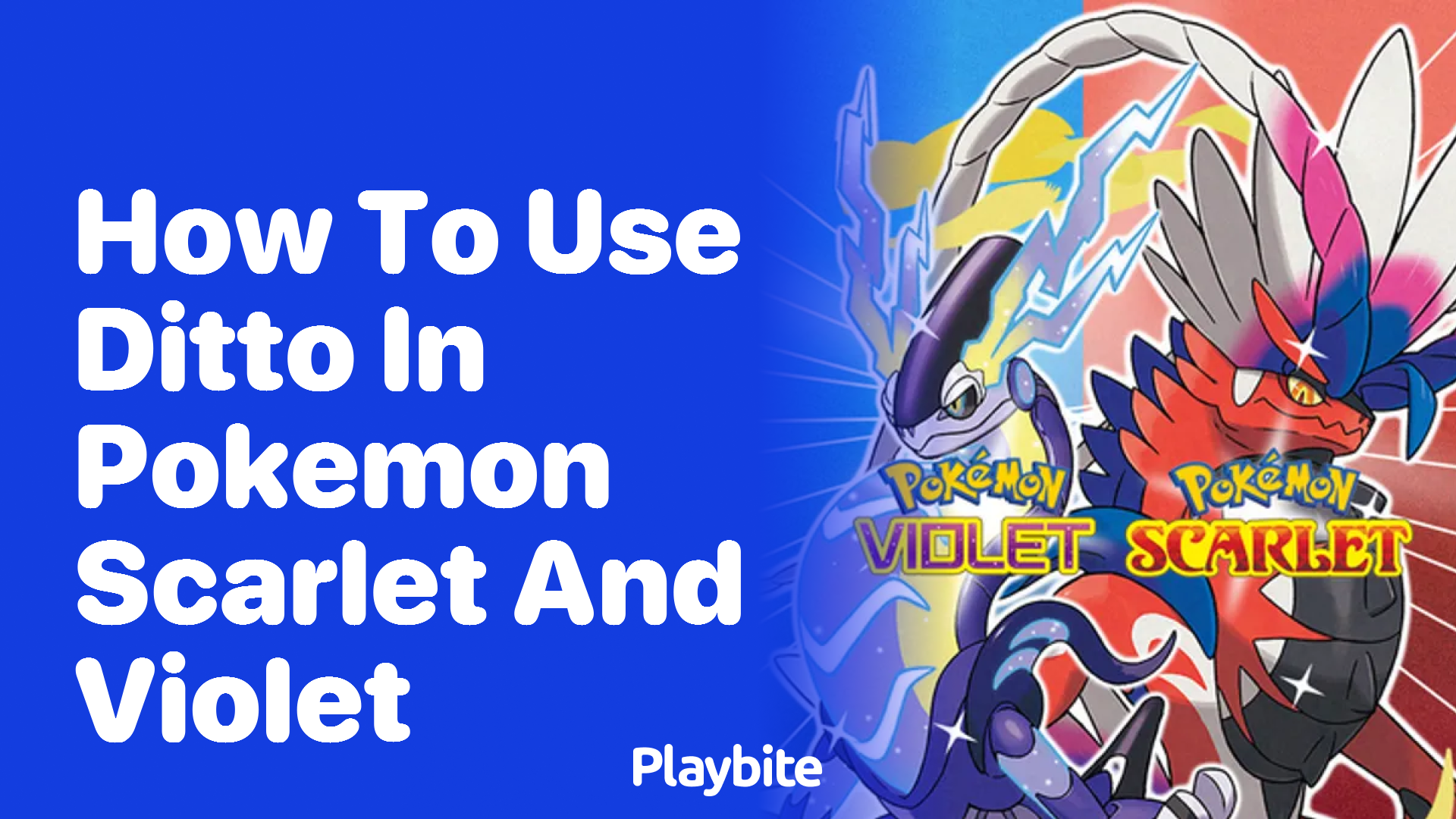 How to use Ditto in Pokemon Scarlet and Violet - Playbite