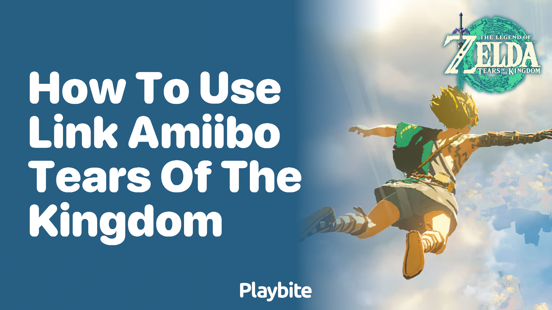 How to Use Link Amiibo in Tears of the Kingdom - Playbite