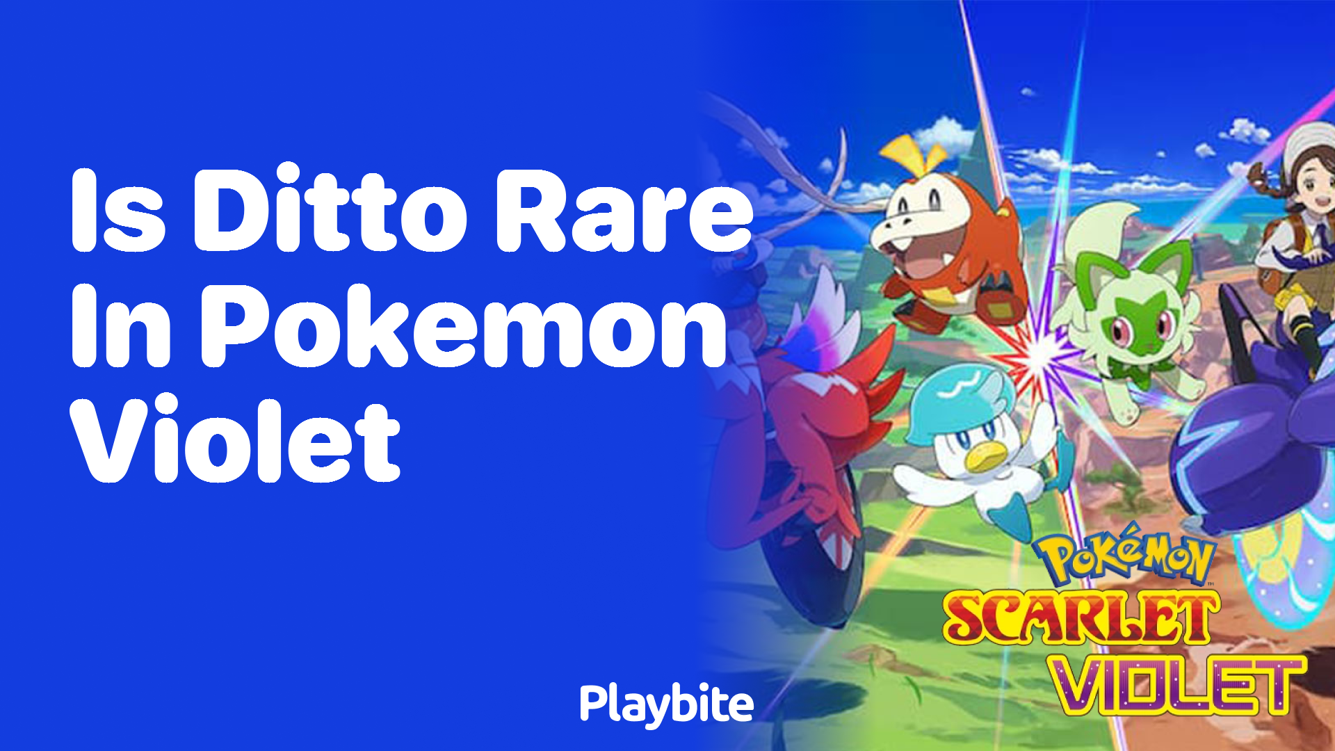 Is Ditto Rare in Pokemon Violet? - Playbite