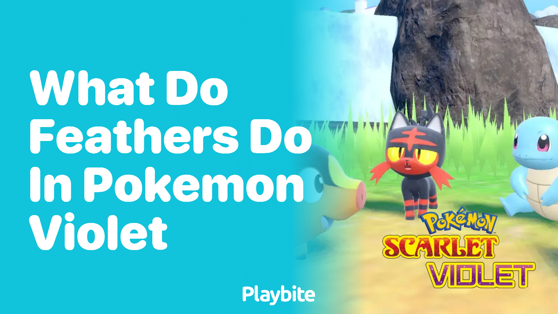 What do feathers do in Pokemon Violet? - Playbite