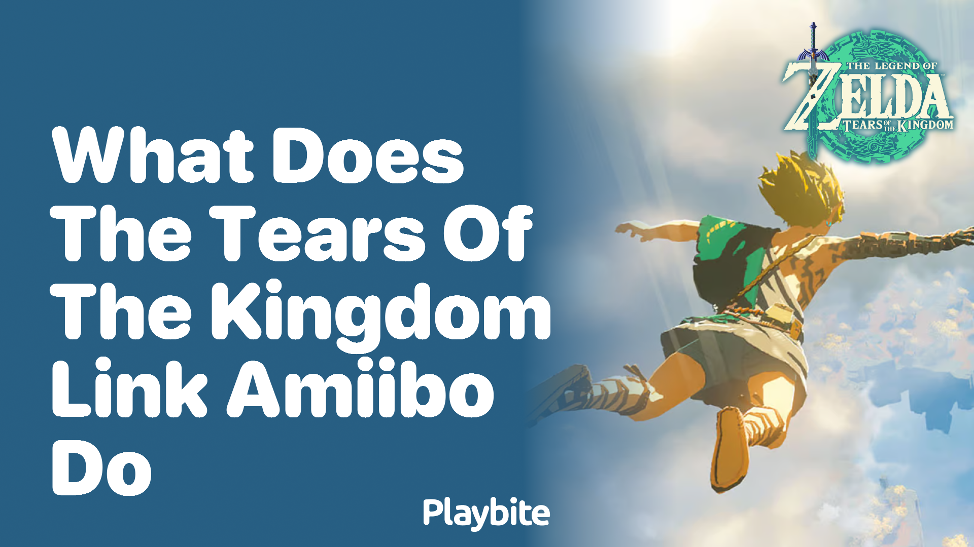 What Does the Tears of the Kingdom Link Amiibo Do? - Playbite