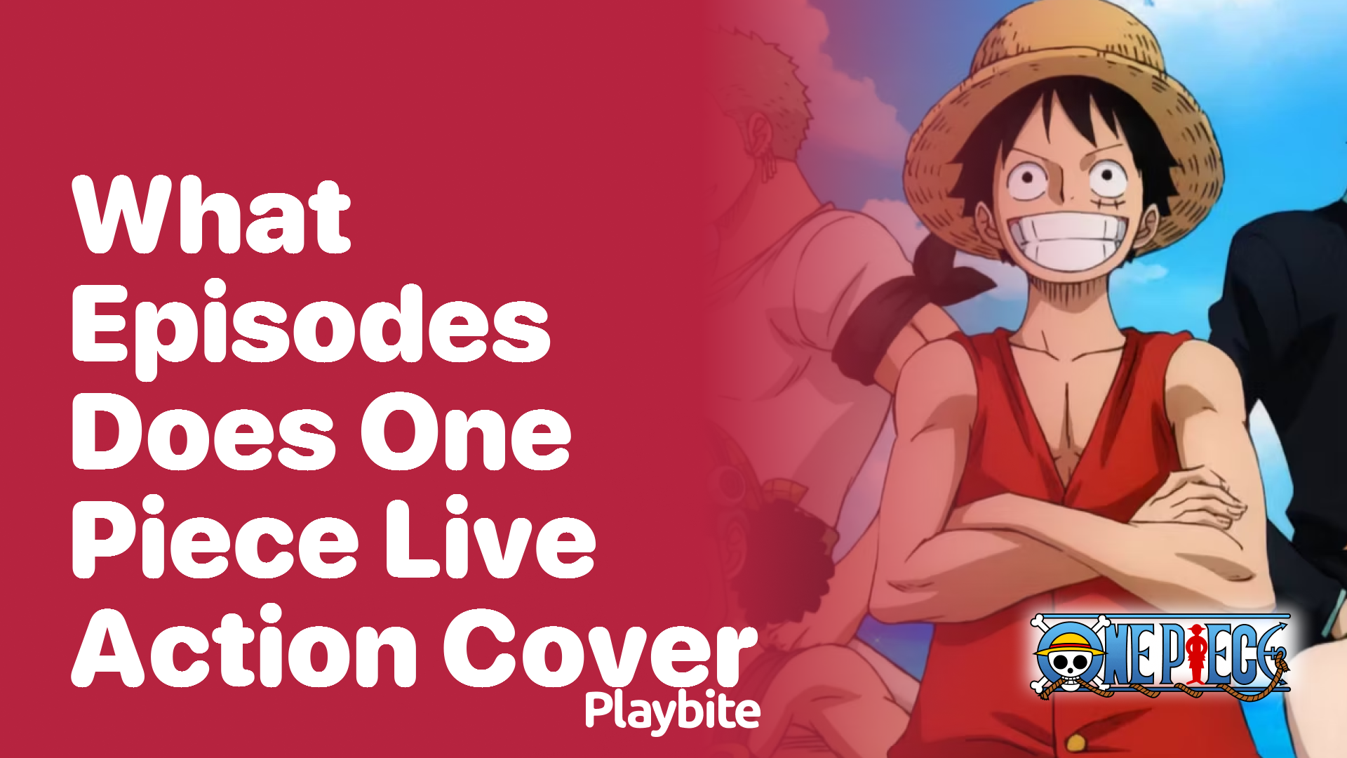 What Episodes Does One Piece Live Action Cover? - Playbite