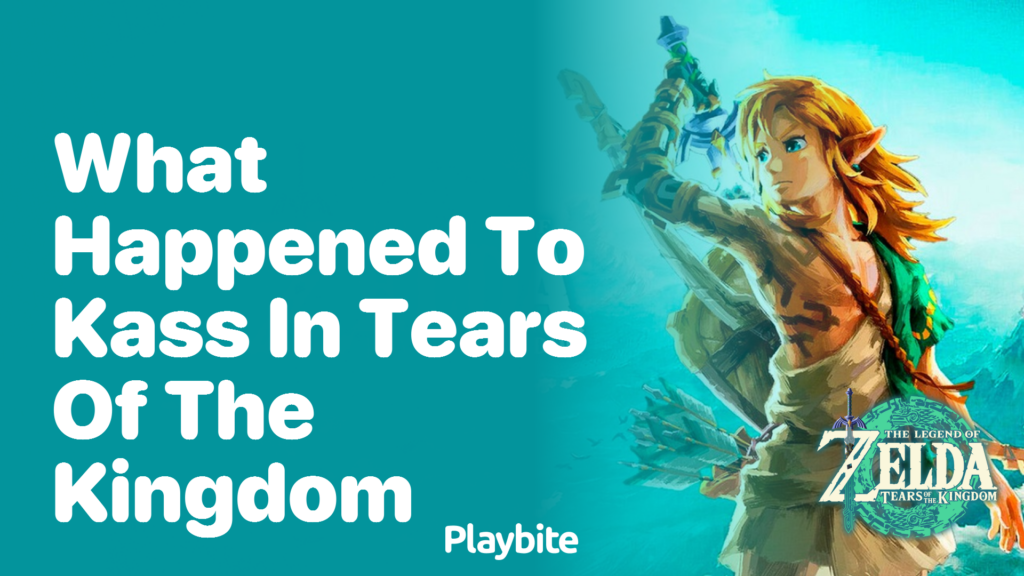 What Happened to Kass in Tears of the Kingdom? - Playbite