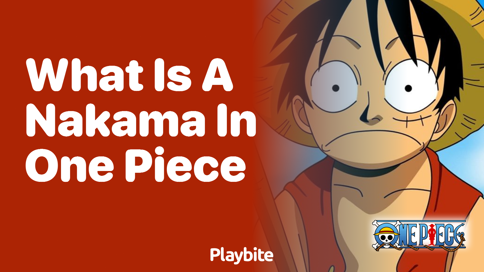 What is a Nakama in One Piece? - Playbite