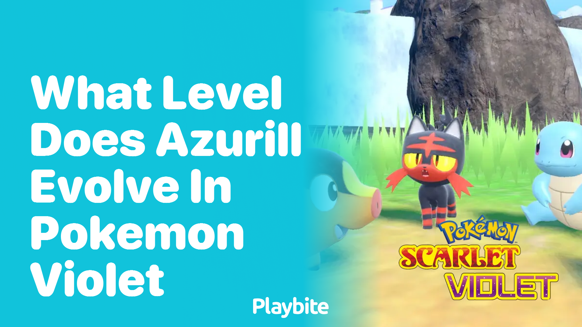 What level does Azurill evolve in Pokemon Violet? - Playbite