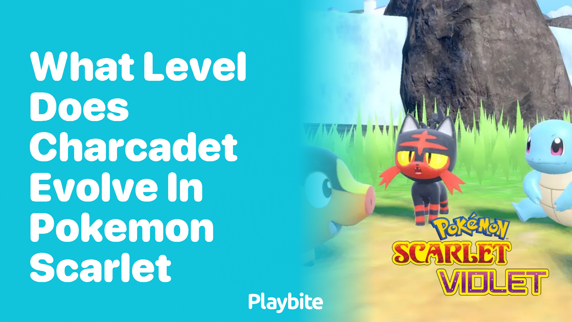 What level does Charcadet evolve in Pokémon Scarlet? - Playbite