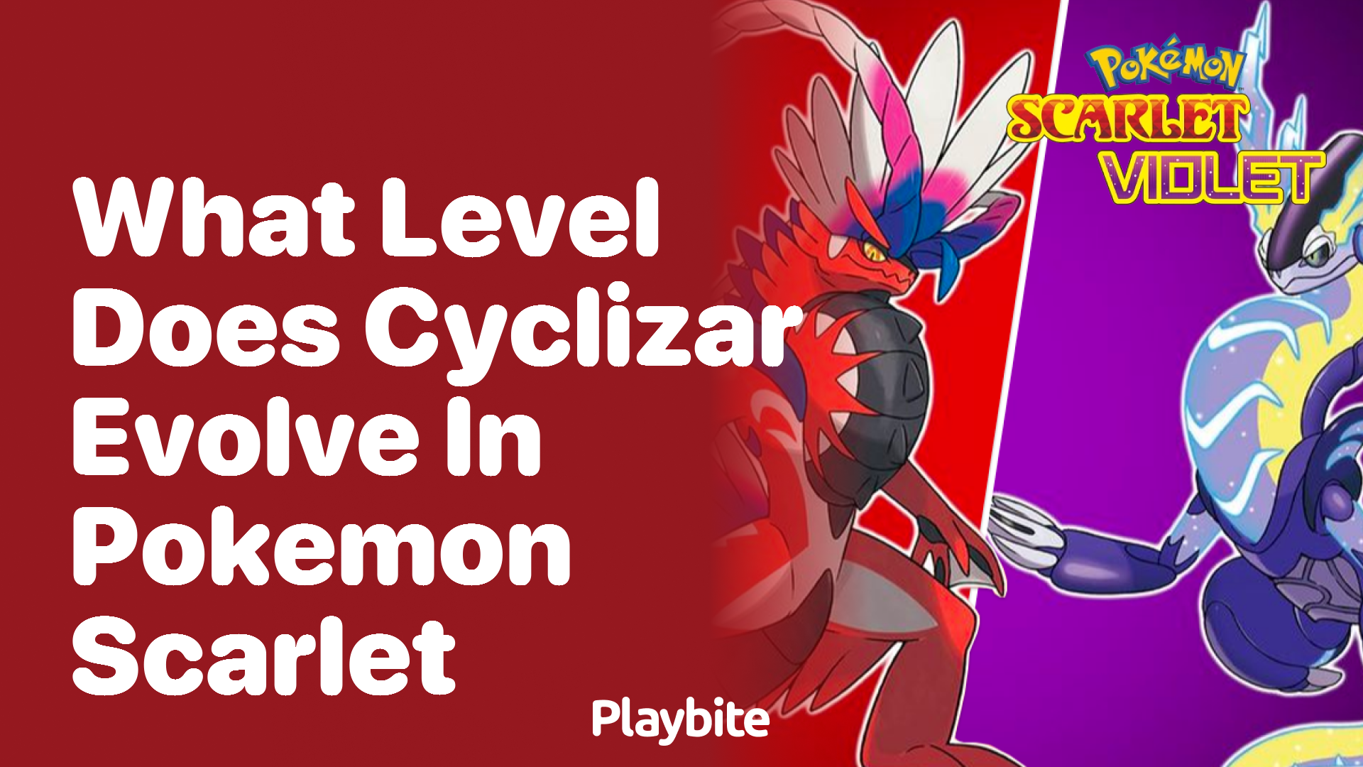 What level does Cyclizar evolve in Pokemon Scarlet? - Playbite