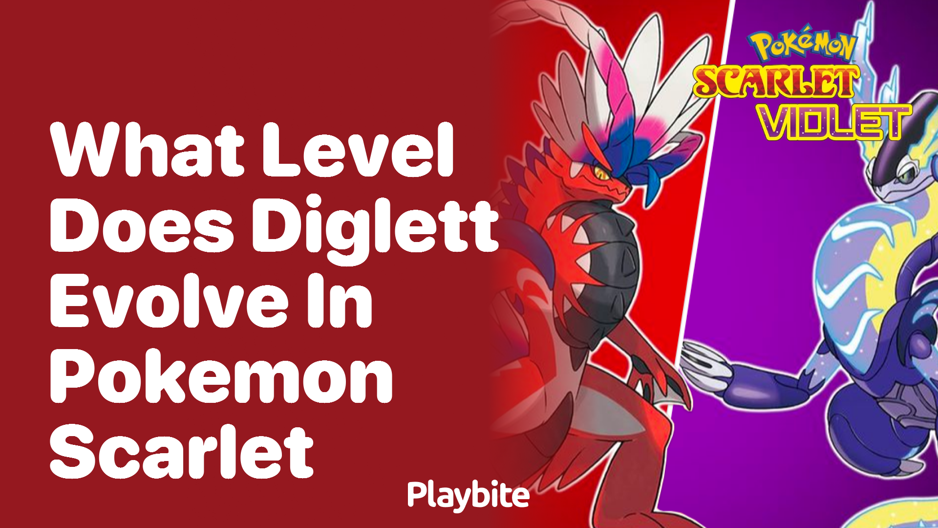 What Level Does Diglett Evolve in Pokemon Scarlet? - Playbite