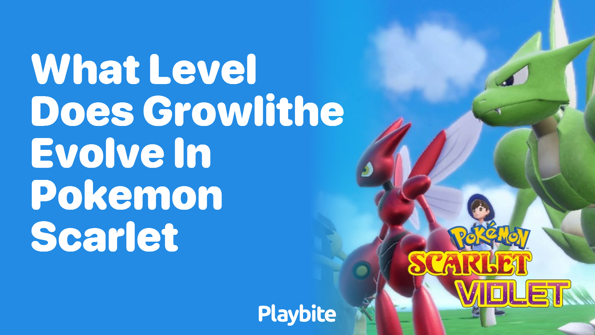 What level does Growlithe evolve in Pokemon Scarlet? - Playbite