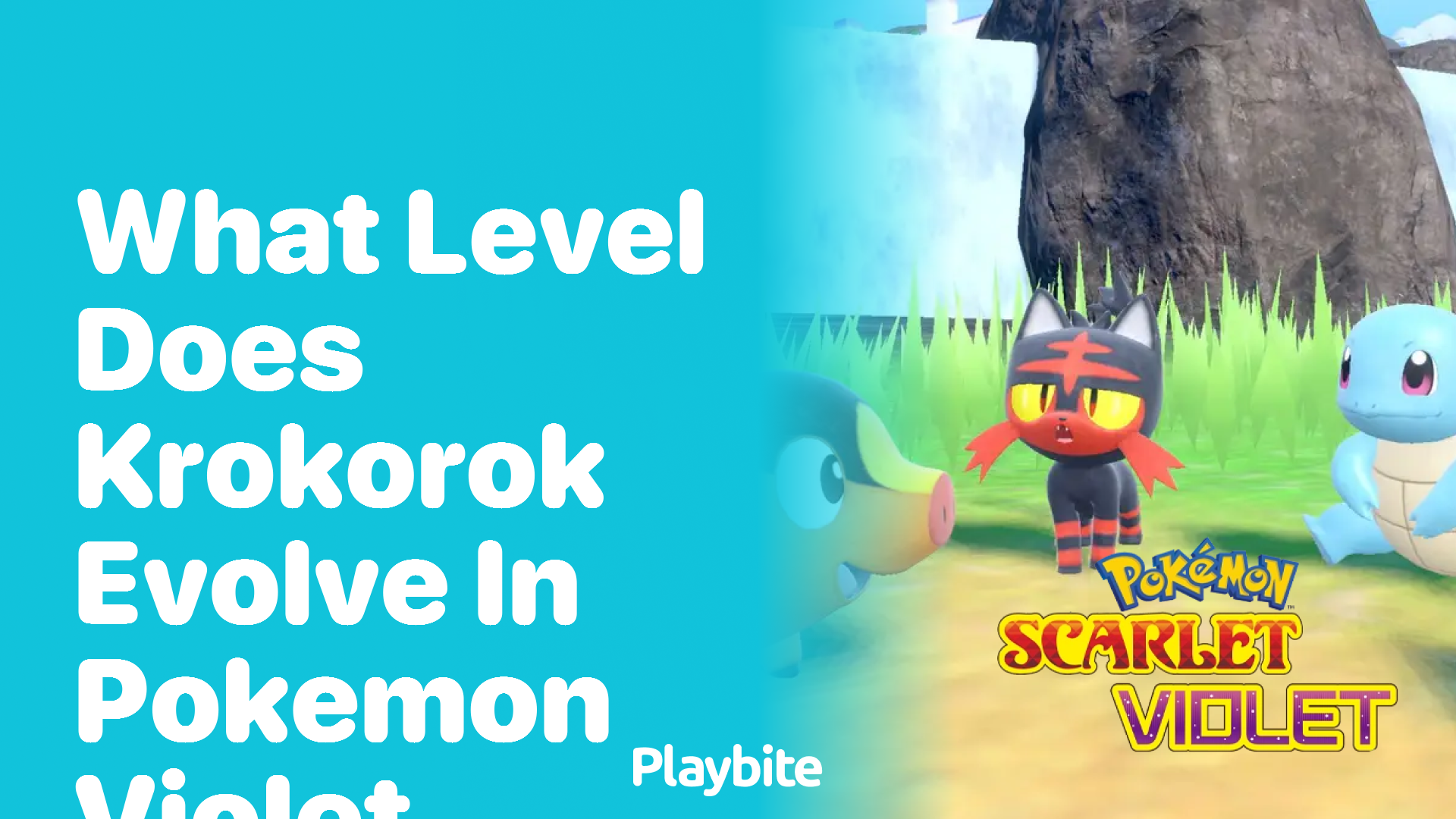 What Level Does Krokorok Evolve in Pokemon Violet? - Playbite