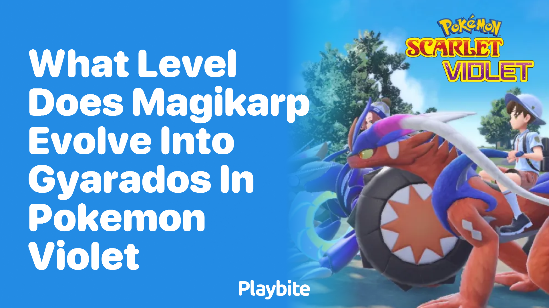 What level does Magikarp evolve into Gyarados in Pokemon Violet? - Playbite