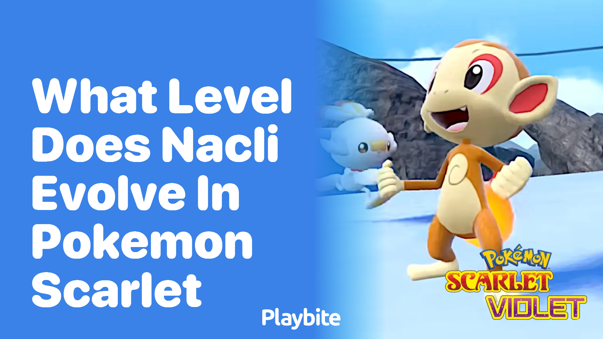 What Level Does Nacli Evolve in Pokémon Scarlet? - Playbite