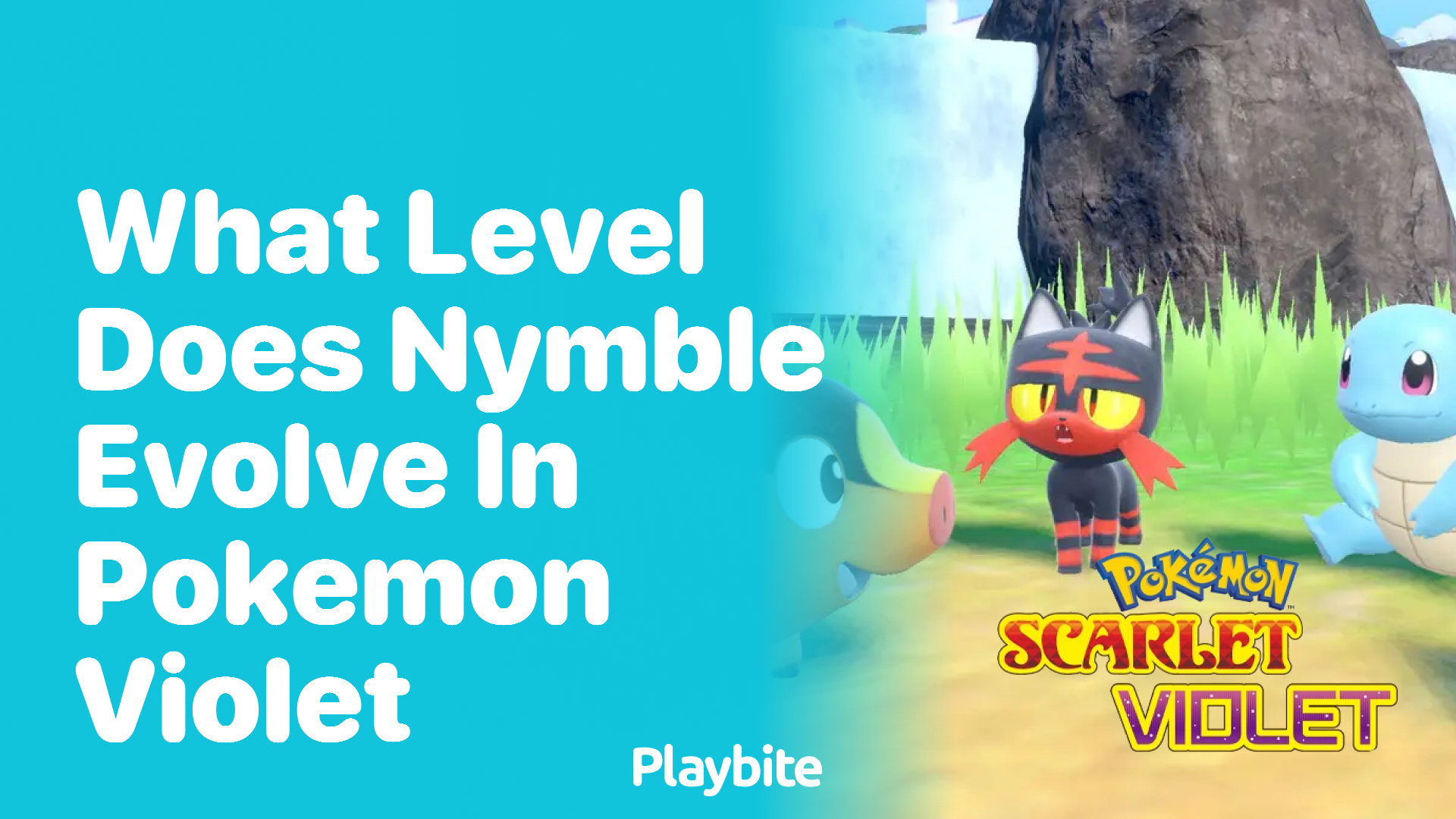 What level does Nymble evolve in Pokémon Violet? - Playbite