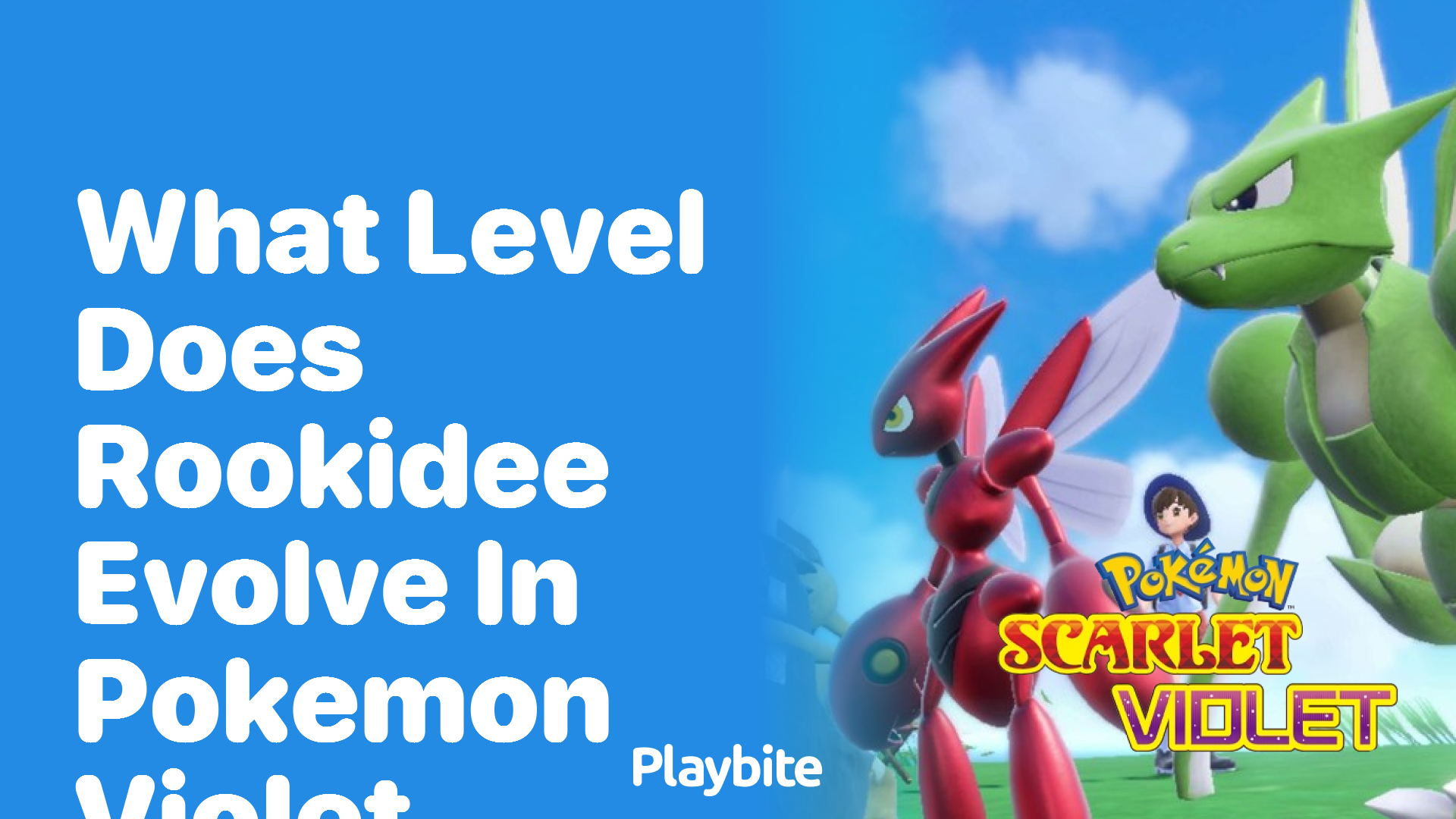 What level does Rookidee evolve in Pokemon Violet? - Playbite