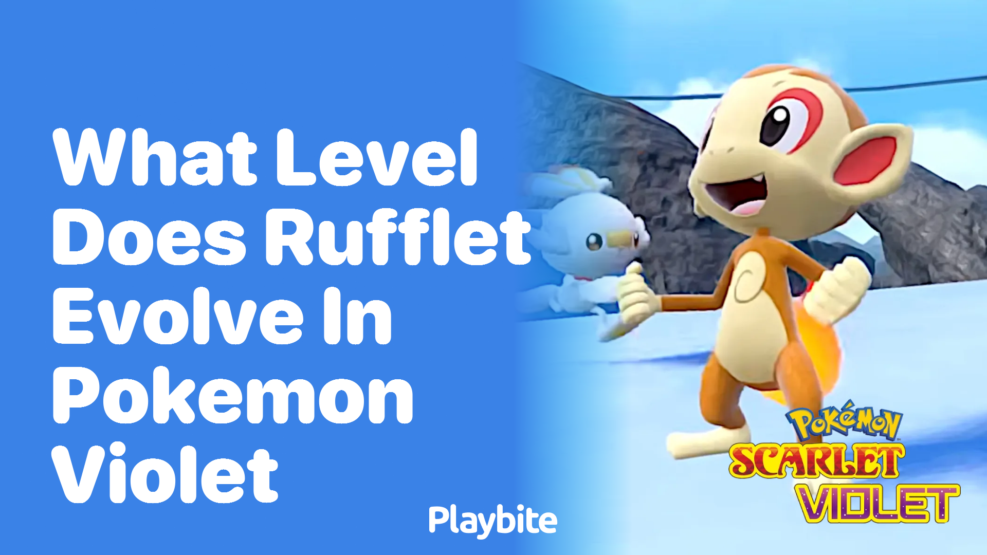What level does Rufflet evolve in Pokemon Violet? - Playbite