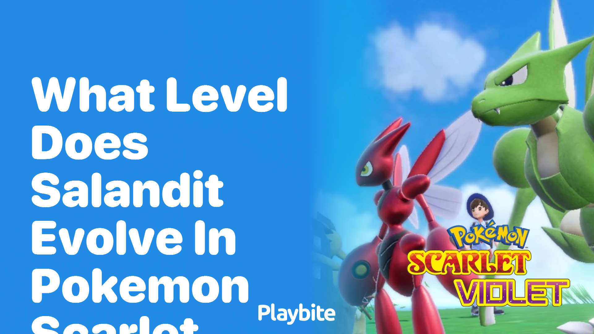 What level does Salandit evolve in Pokemon Scarlet? - Playbite