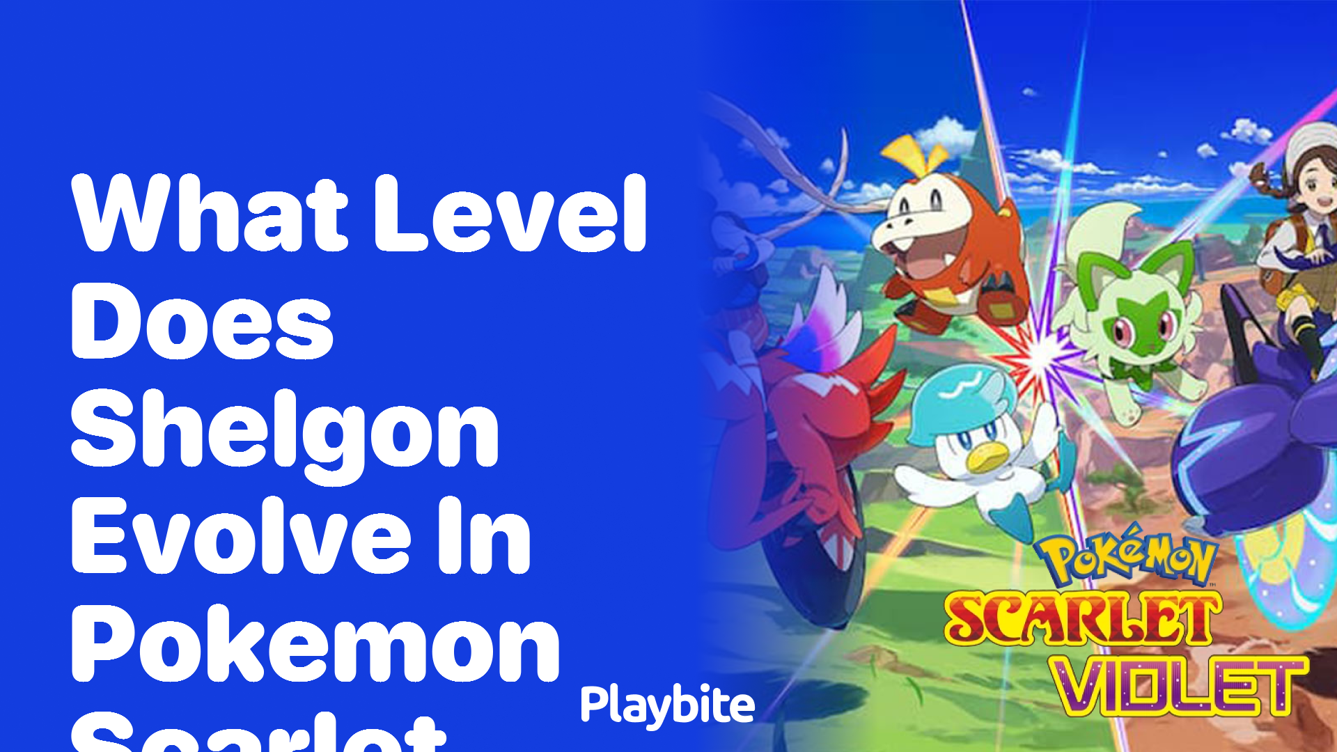 What level does Shelgon evolve in Pokemon Scarlet? - Playbite