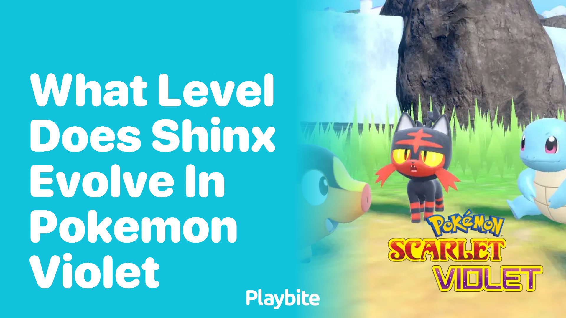 What Level does Shinx Evolve in Pokemon Violet? - Playbite