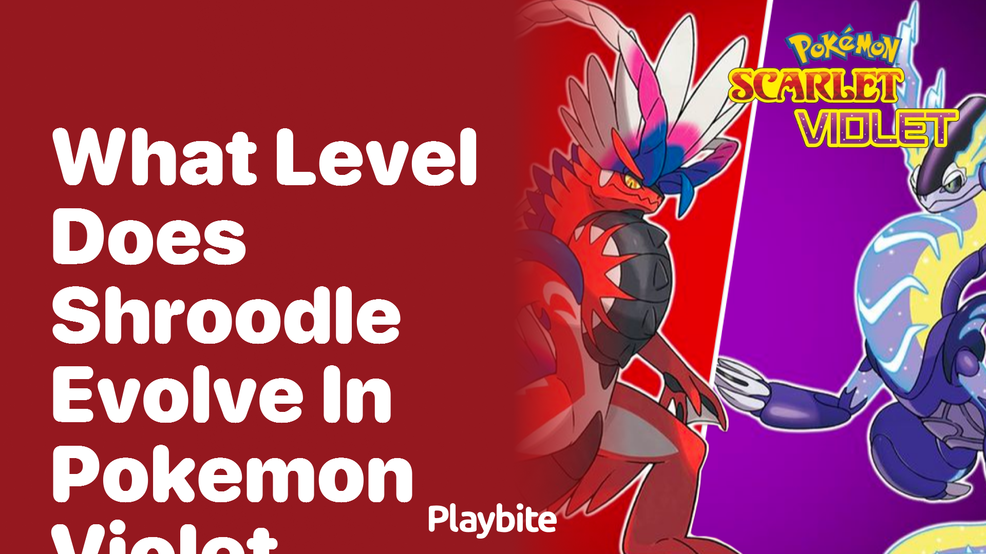 What Level Does Shroodle Evolve in Pokemon Violet? - Playbite