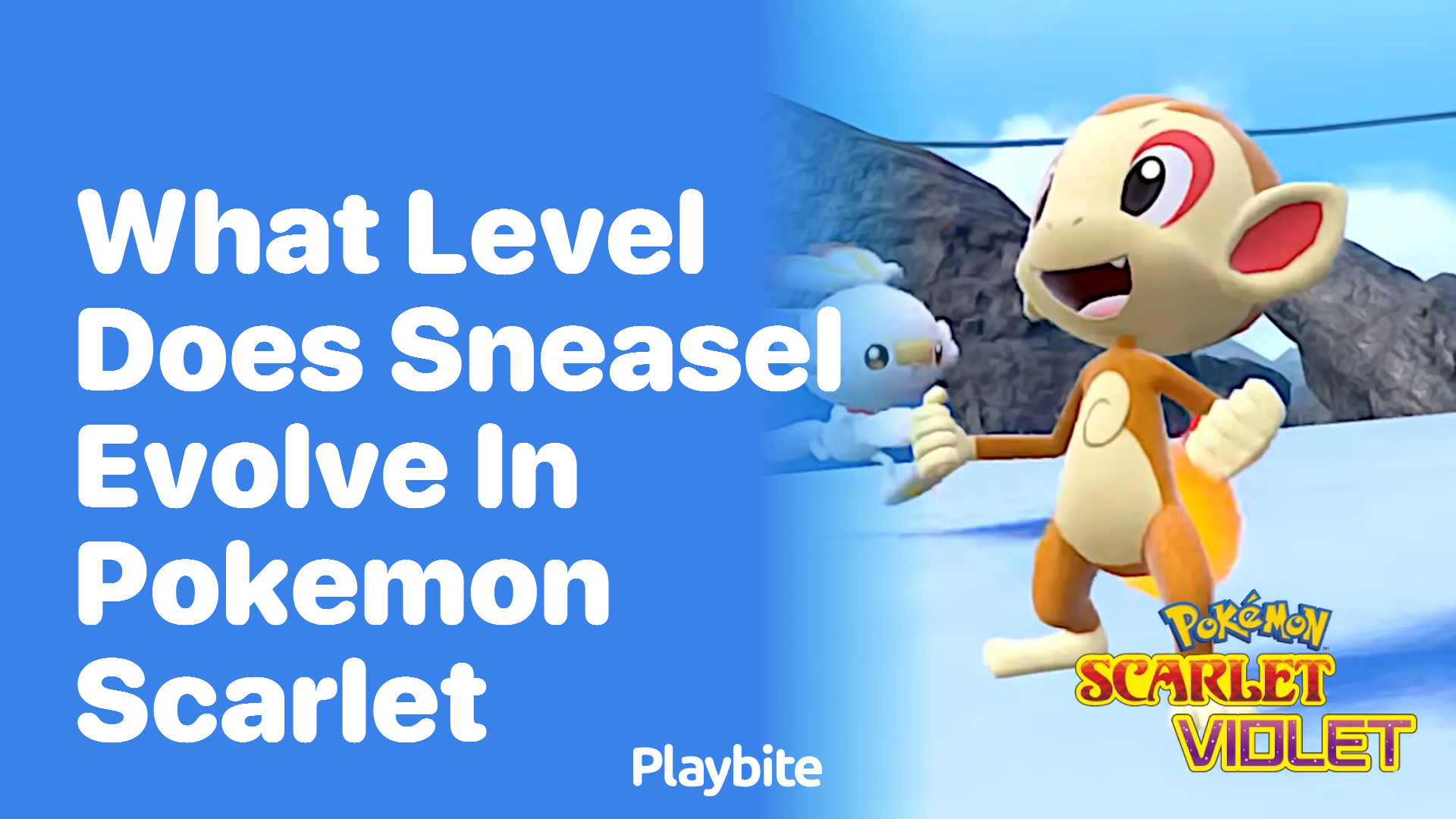 What Level Does Sneasel Evolve in Pokemon Scarlet? - Playbite