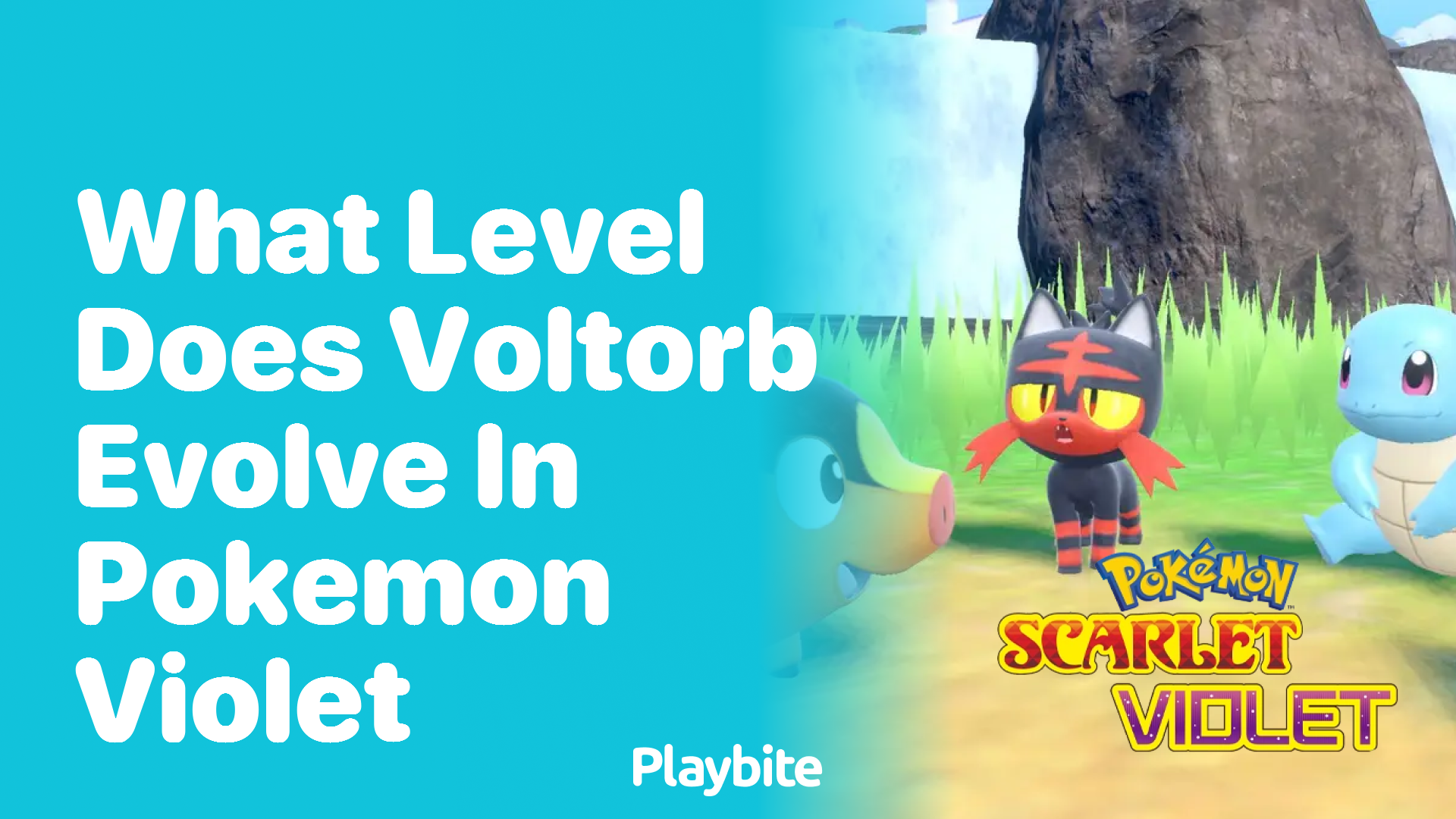 What Level Does Voltorb Evolve in Pokemon Violet? - Playbite
