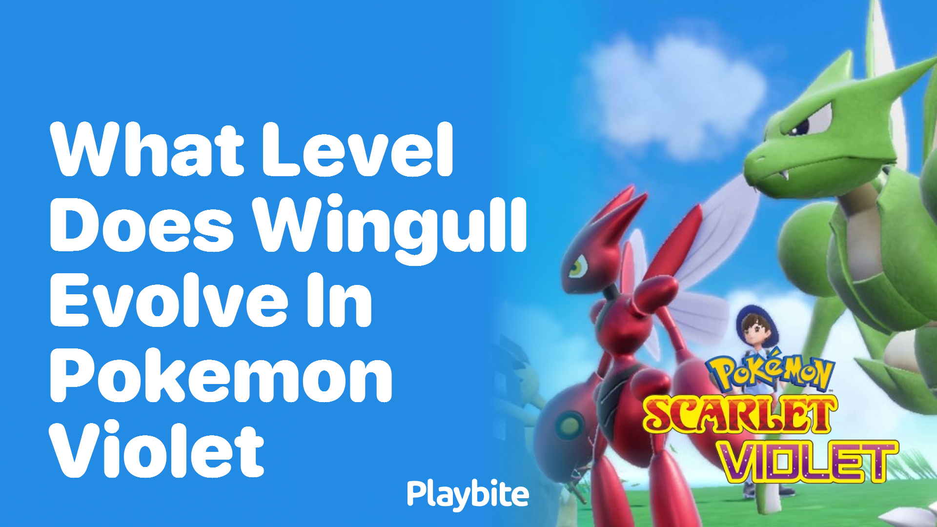 What Level Does Wingull Evolve in Pokemon Violet? - Playbite