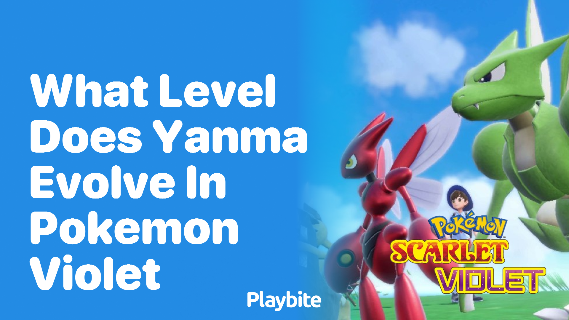 What level does Yanma evolve in Pokemon Violet? - Playbite