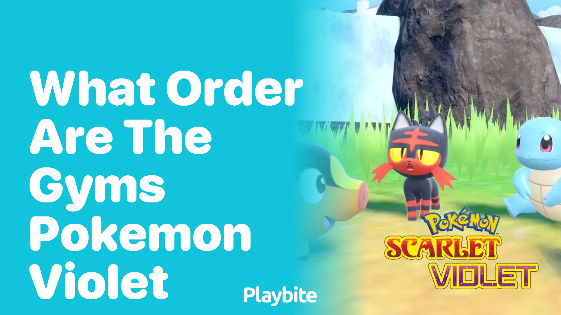 What order are the gyms in Pokemon Violet? - Playbite